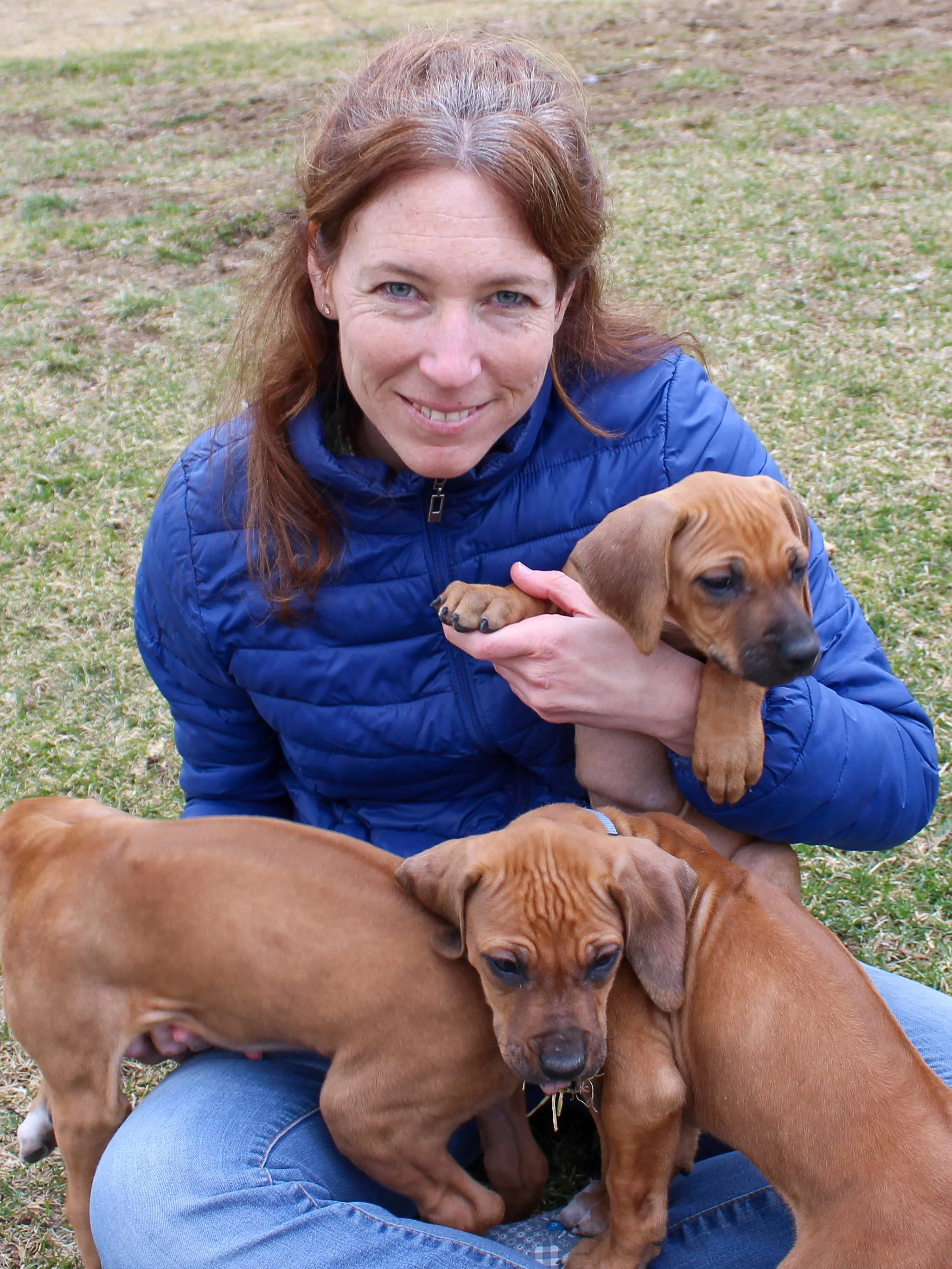 About — Holistic Veterinary Care