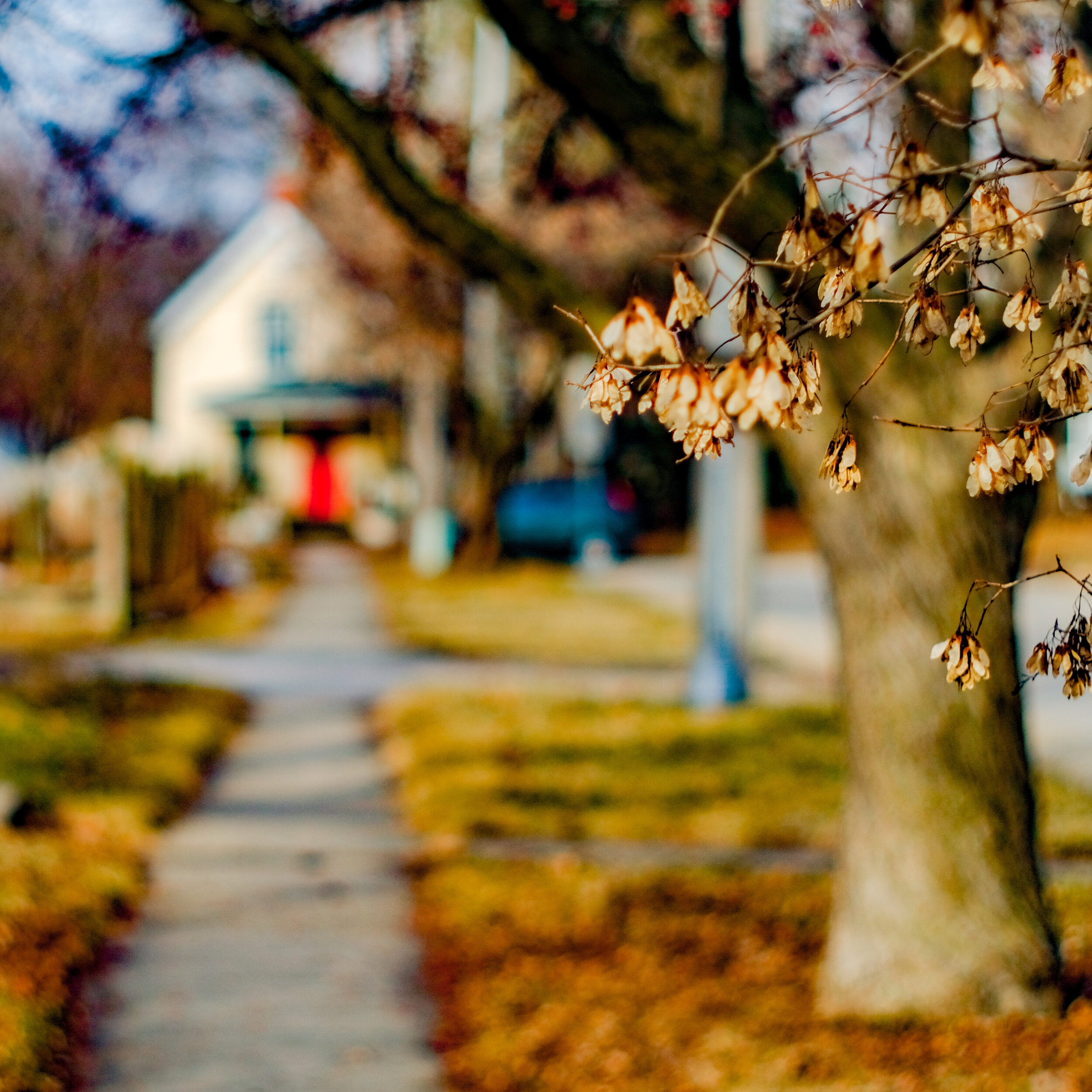 Architecture — Lucas Farms Neighborhood Association