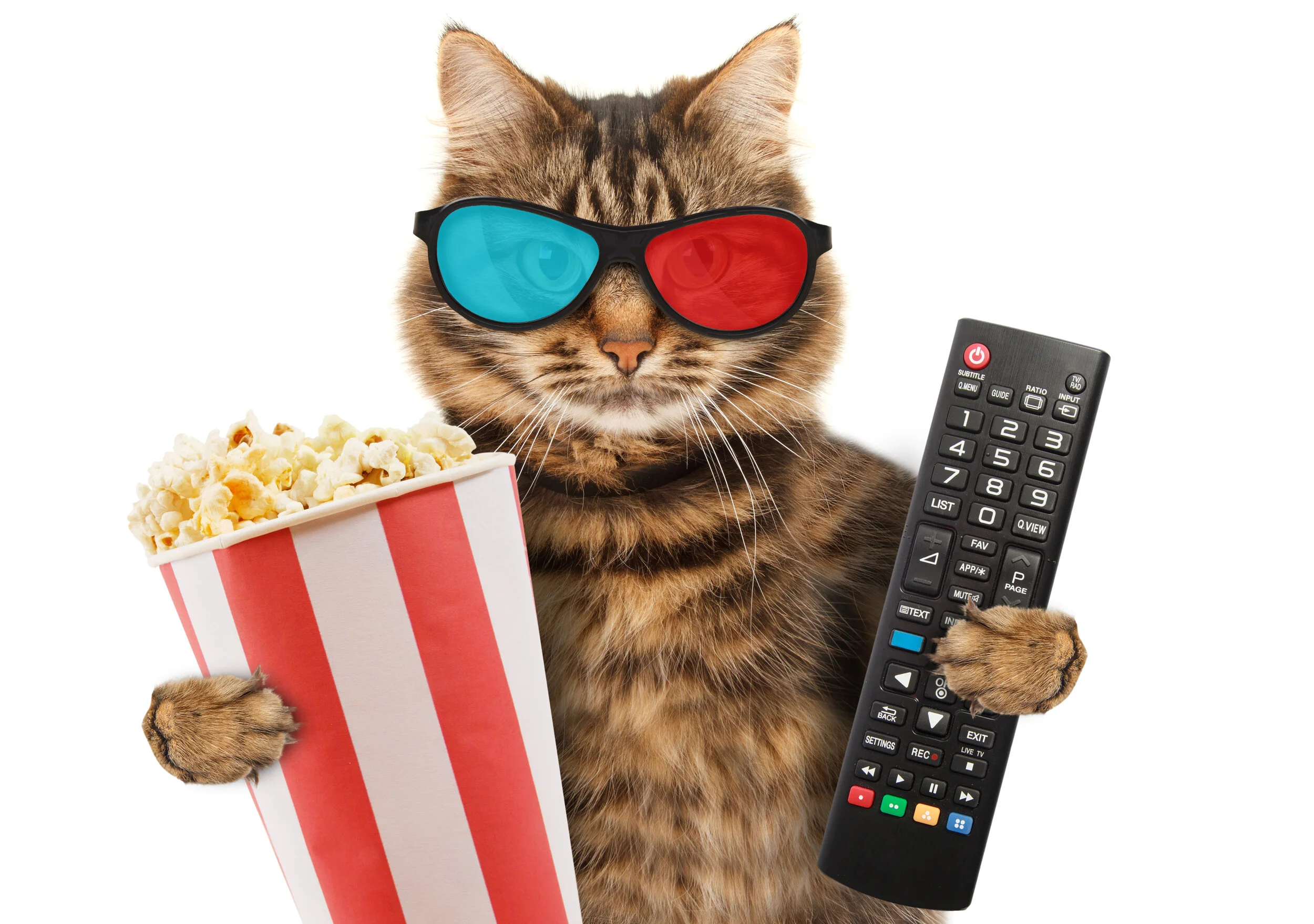 Big Movie Blog