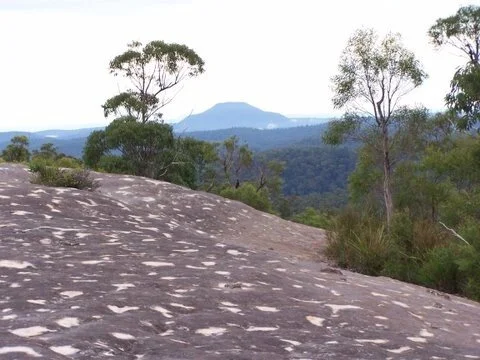 Mount Yengo — Wollombi Valley Arts Council