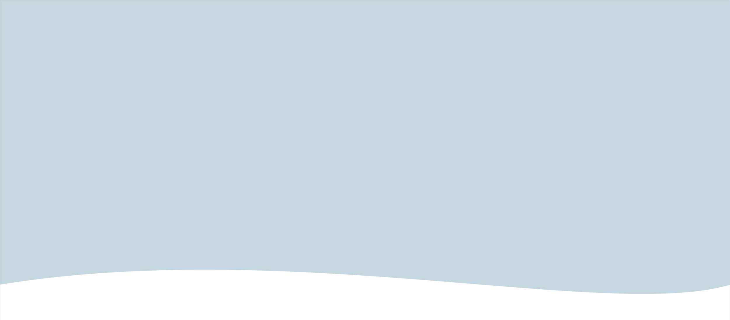 Social Media Marketing & Content Curation Testimonials | Little Pi