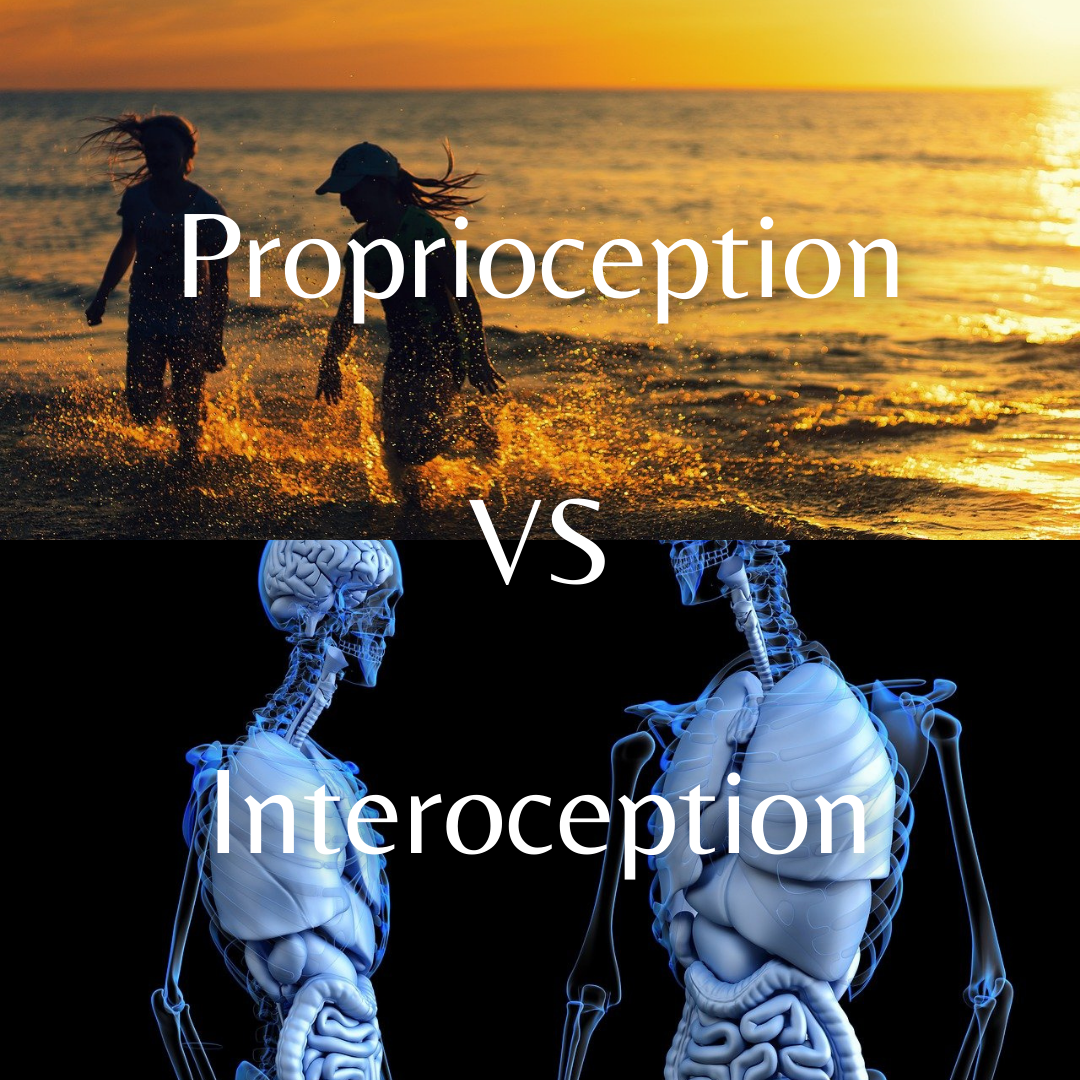 Can you feel it? — Synapse in Motion