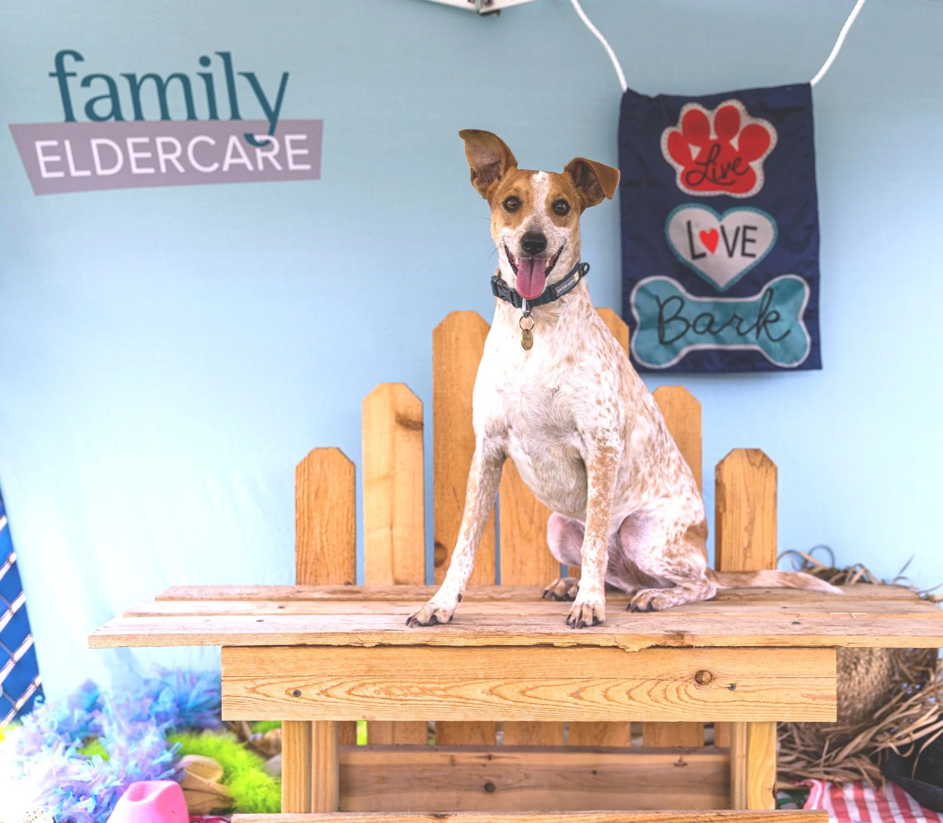 Family Eldercare Summer Fan Drive