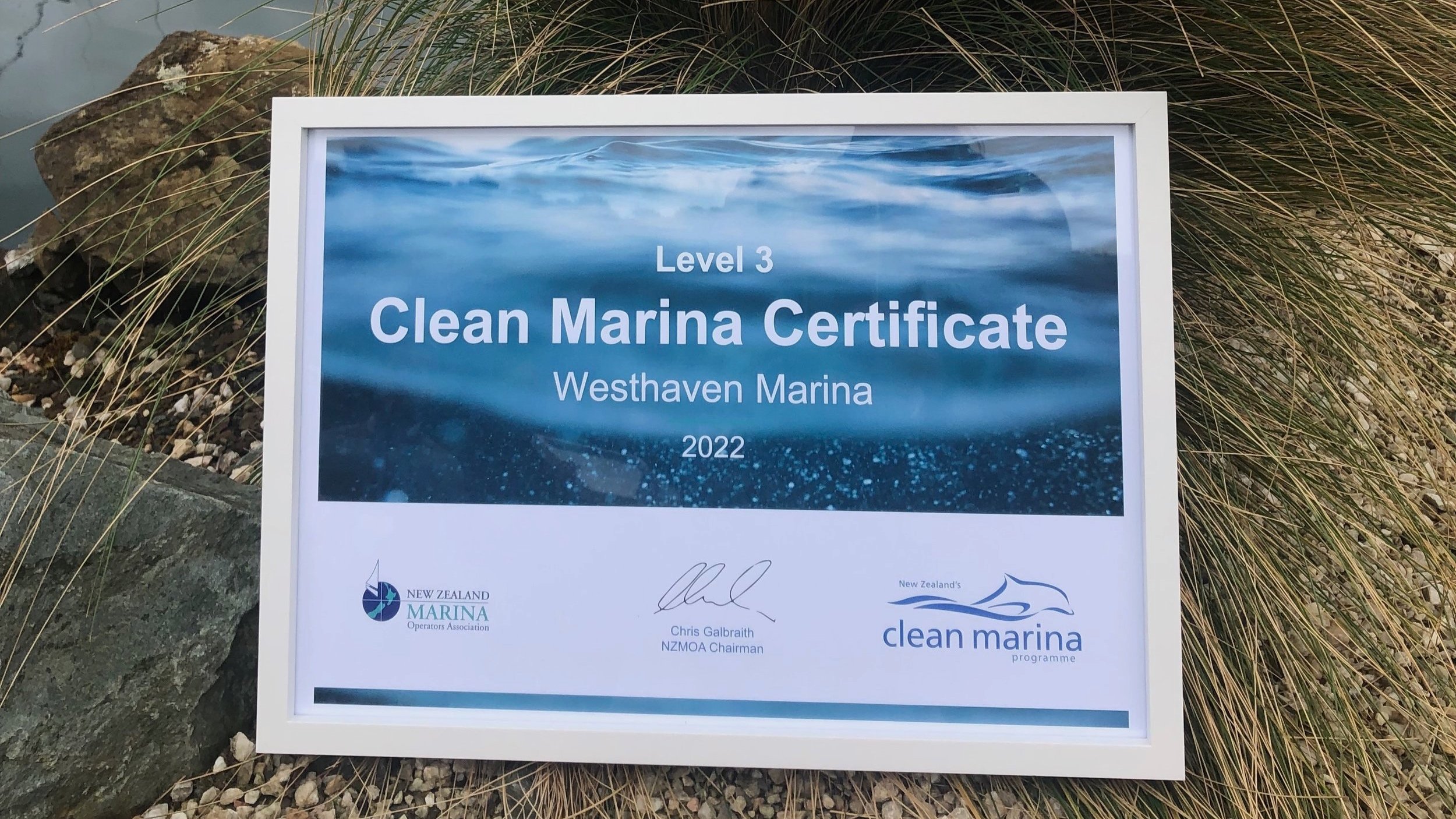 Clean Marina and NZMOA's environmental leadership — New Zealand Marina ...