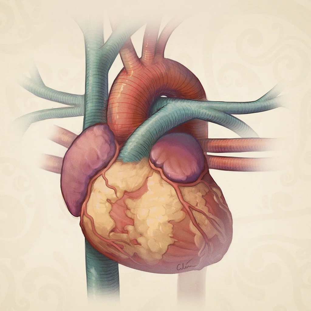 Research programmes — MRINZ - Medical Research Institute of New Zealand