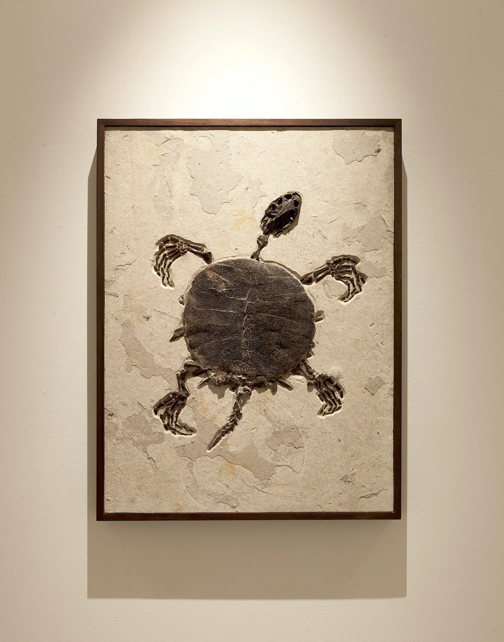 2013-2015 — Set in Stone Gallery