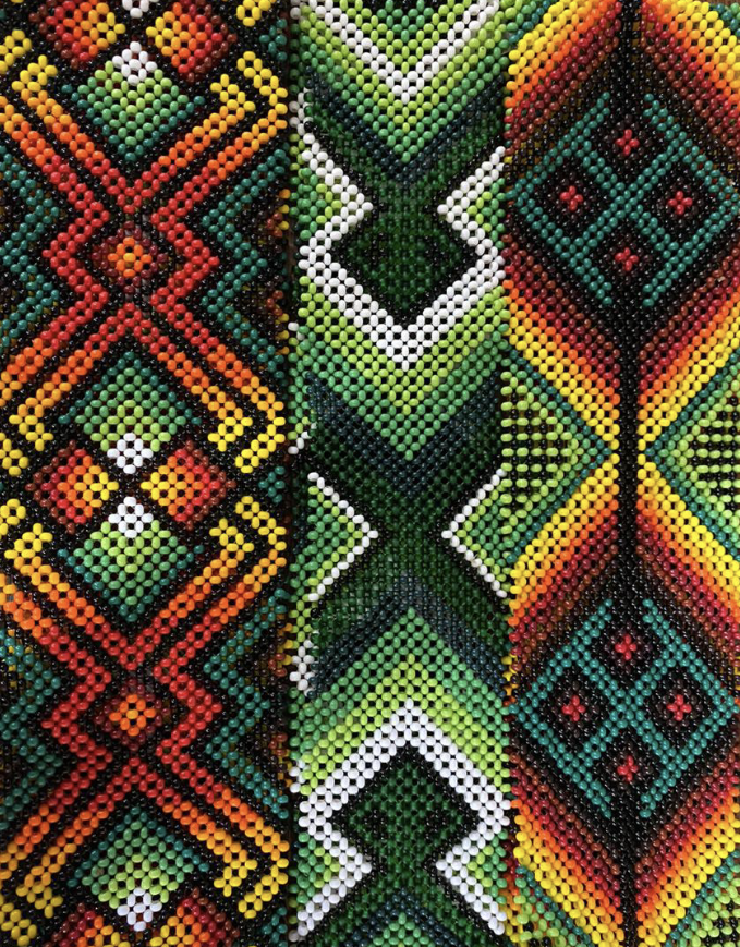 Indigenous Cosmologies — The Botanical Mind
