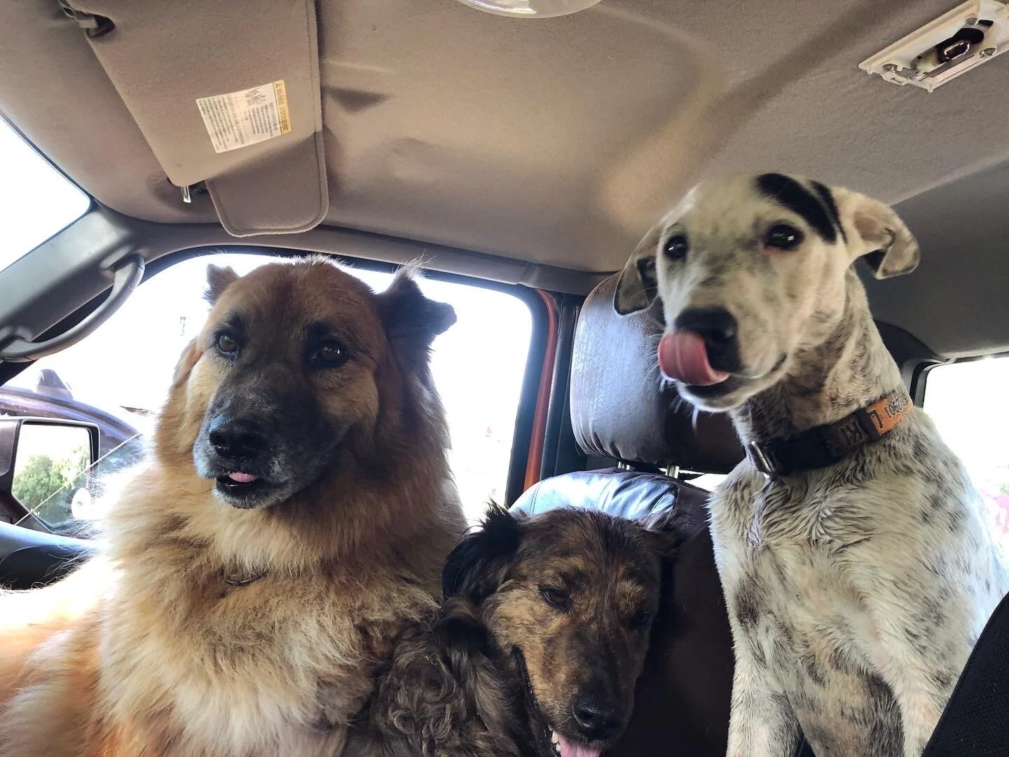 Photos — North Tabor Farm