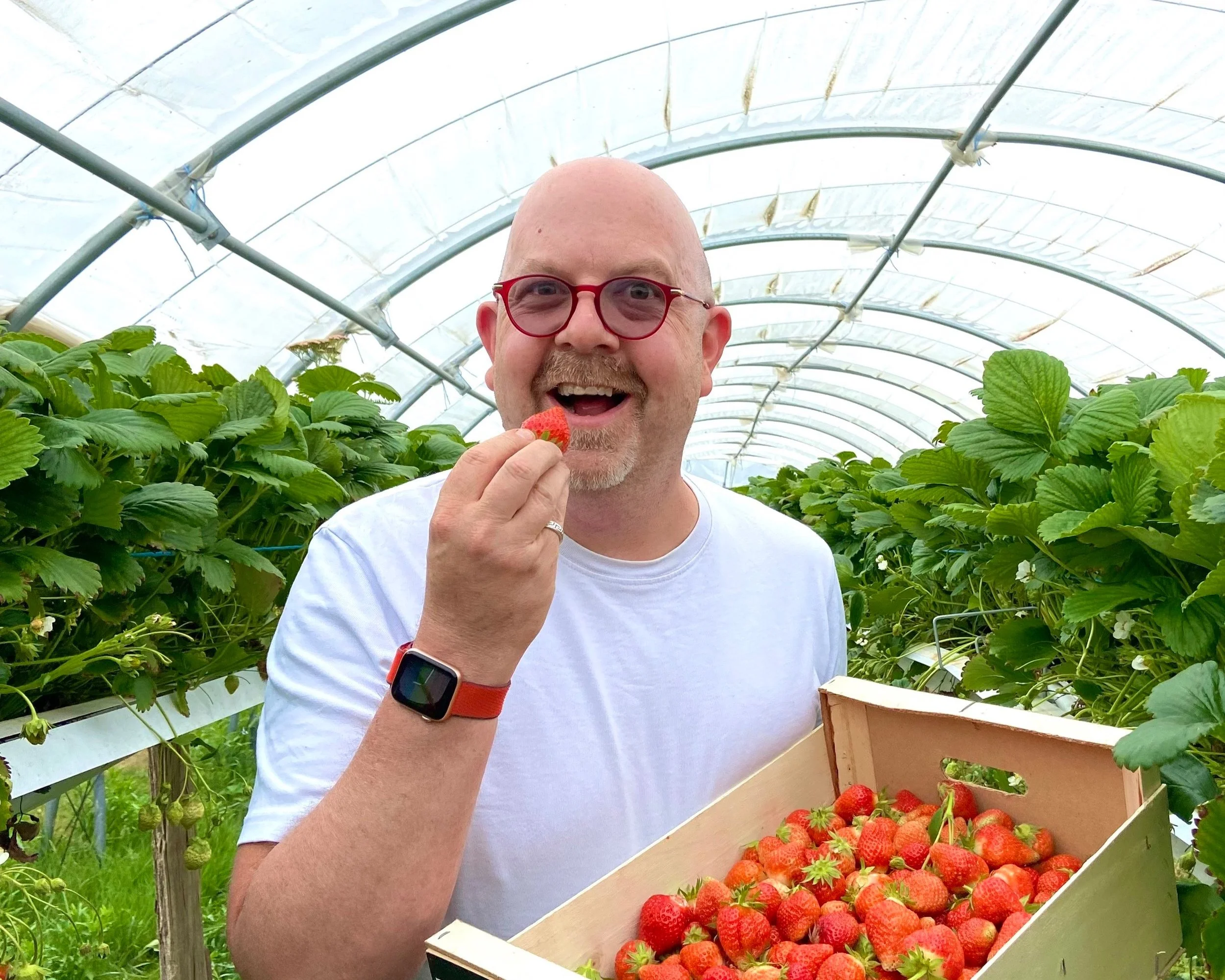 Andrew Prior Fabulously