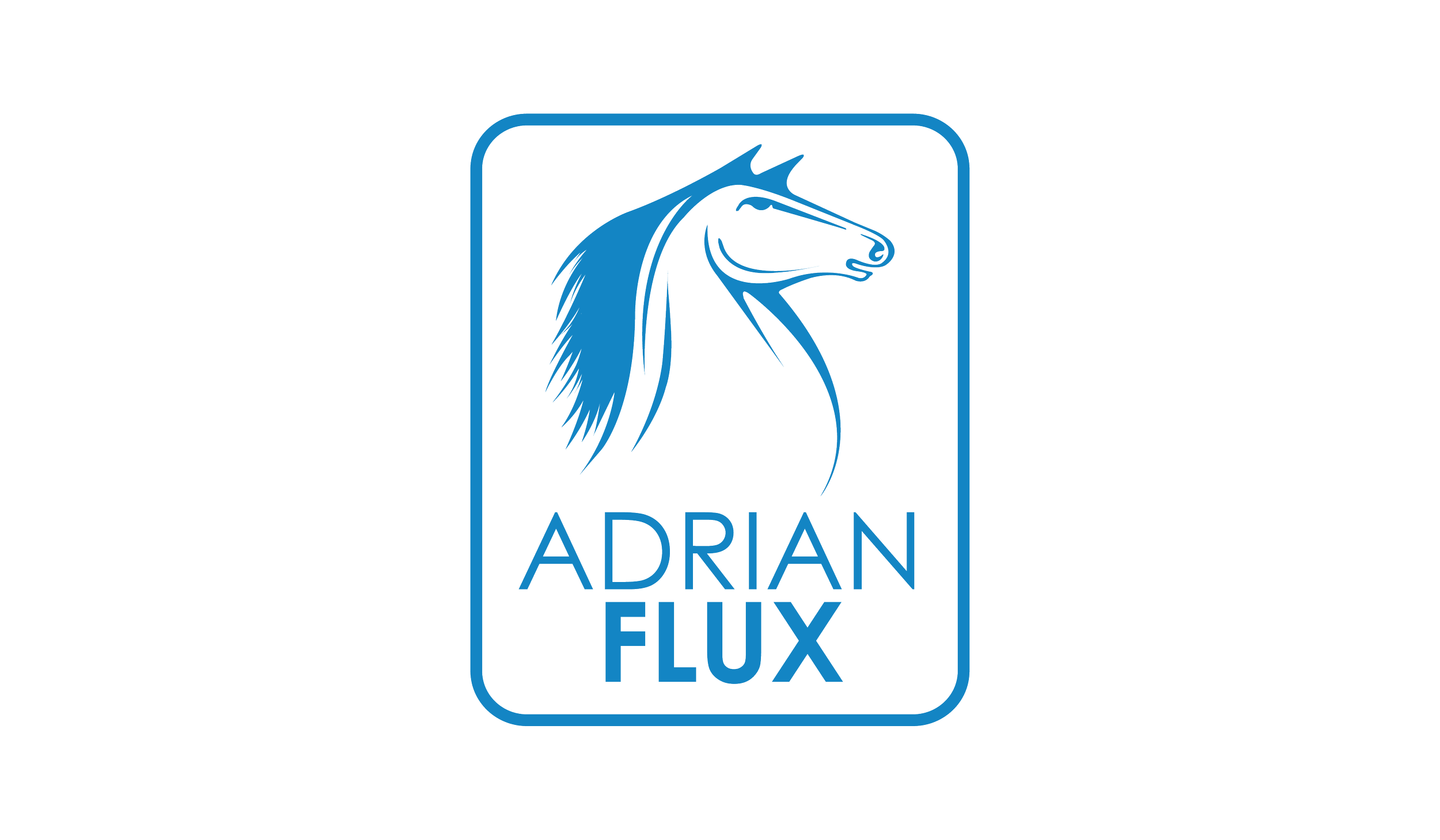 Buyacamper- Campervans for sale, VW Campervan Conversion Specialists