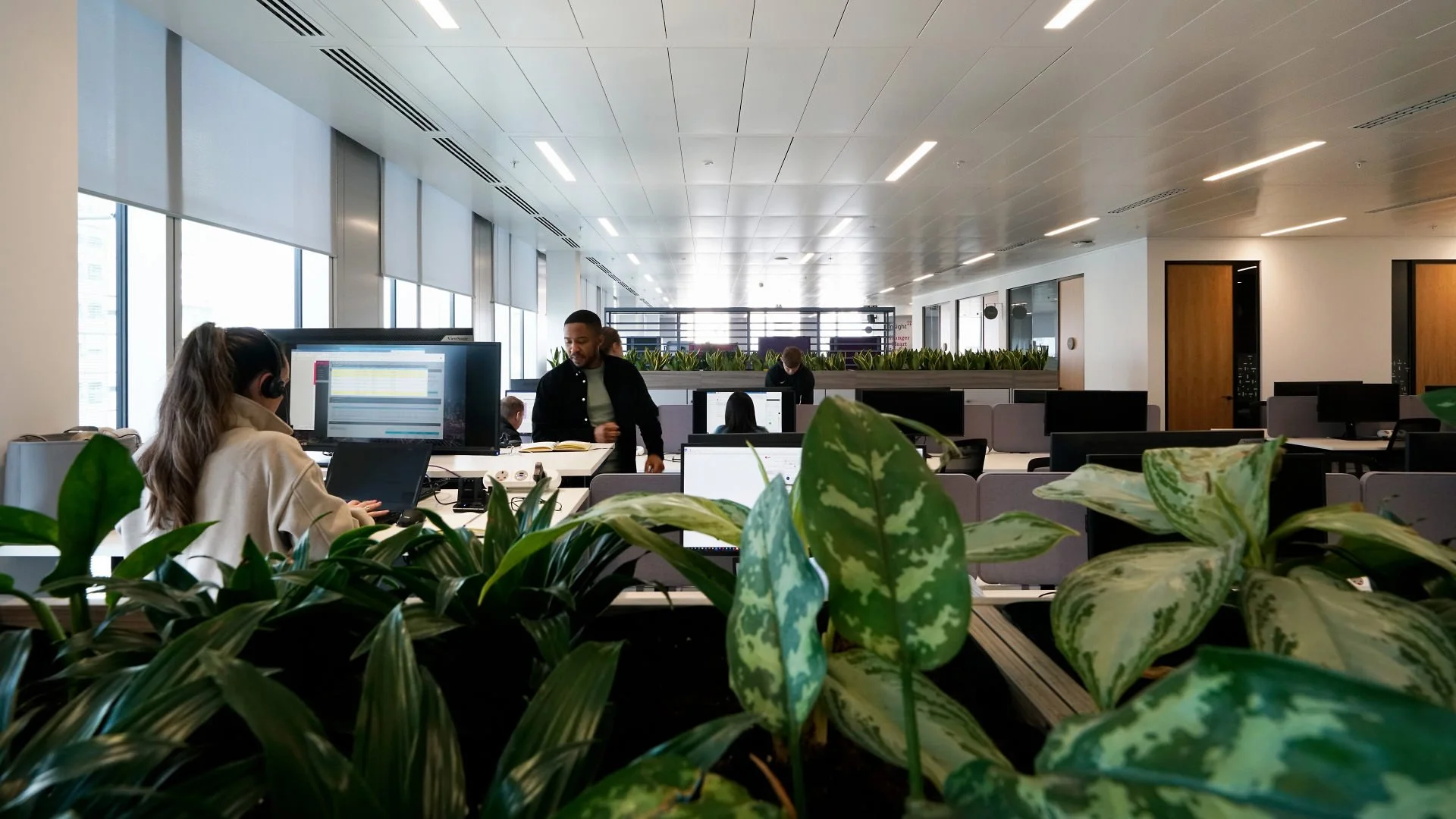 Insight, Manchester — Maze Workplace