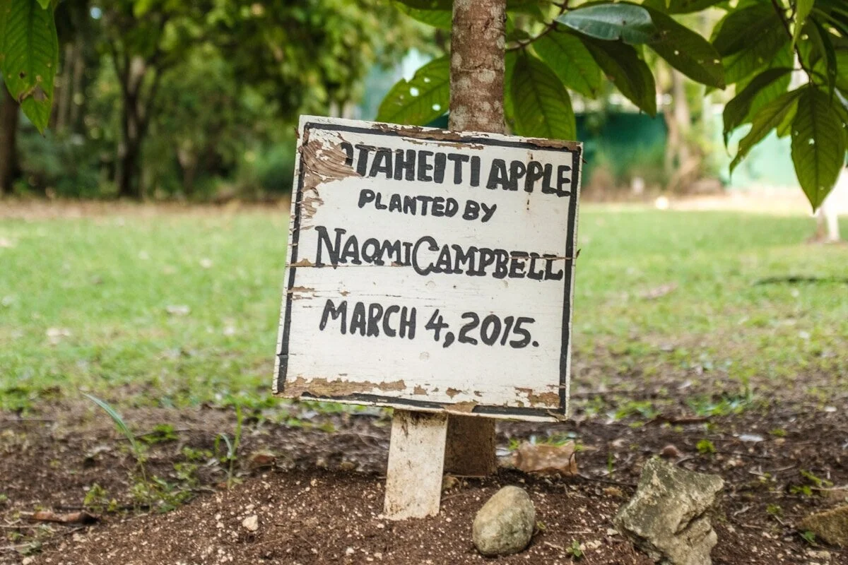 DONATE — GOLDENEYE FOUNDATION, ORACABESSA BAY