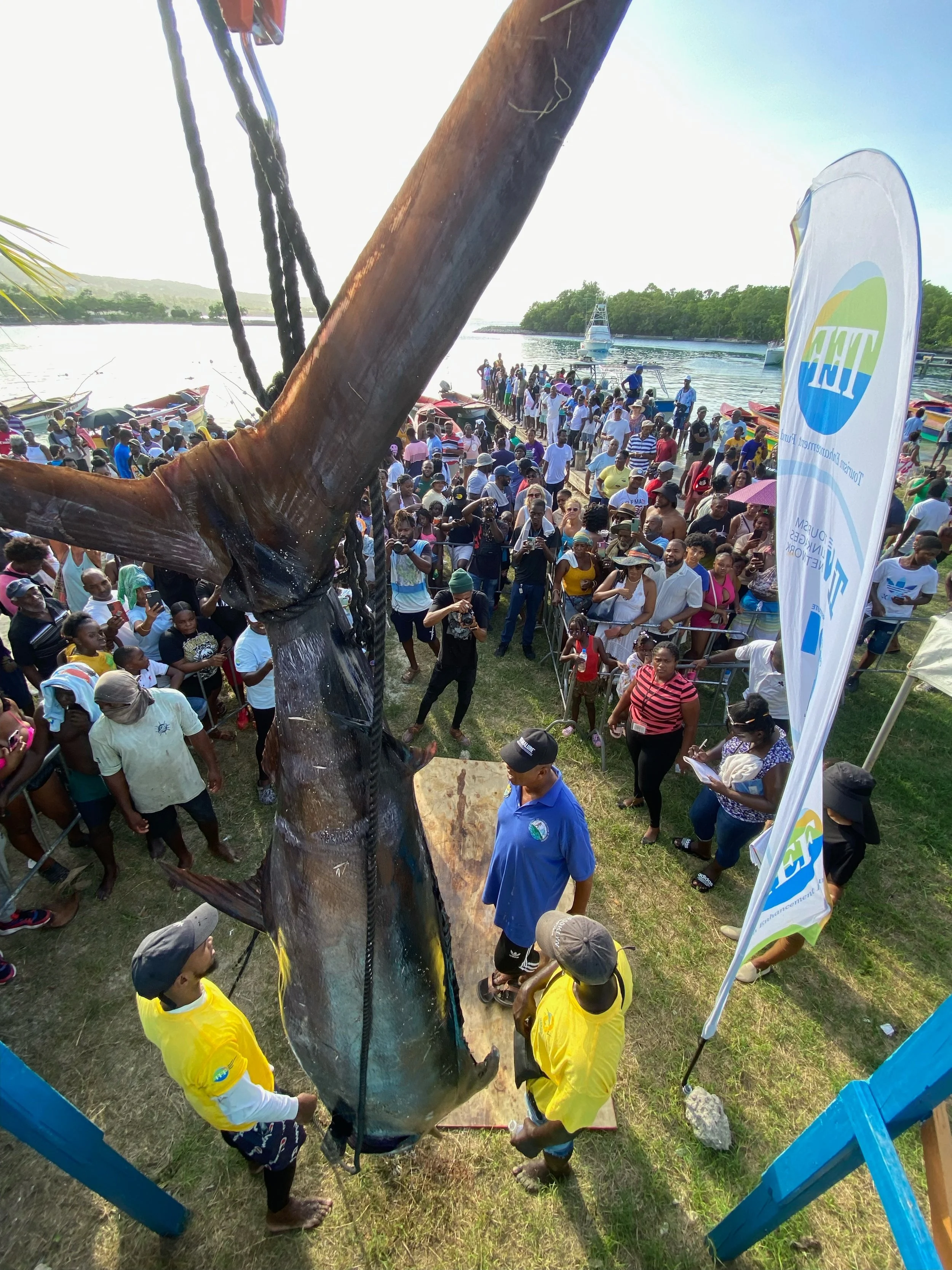 GET INVOLVED — GOLDENEYE FOUNDATION, ORACABESSA BAY