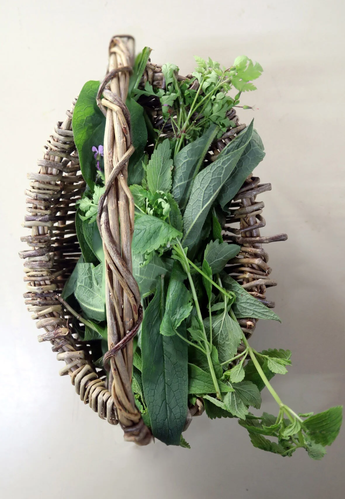 Weeds and Wild Medicine