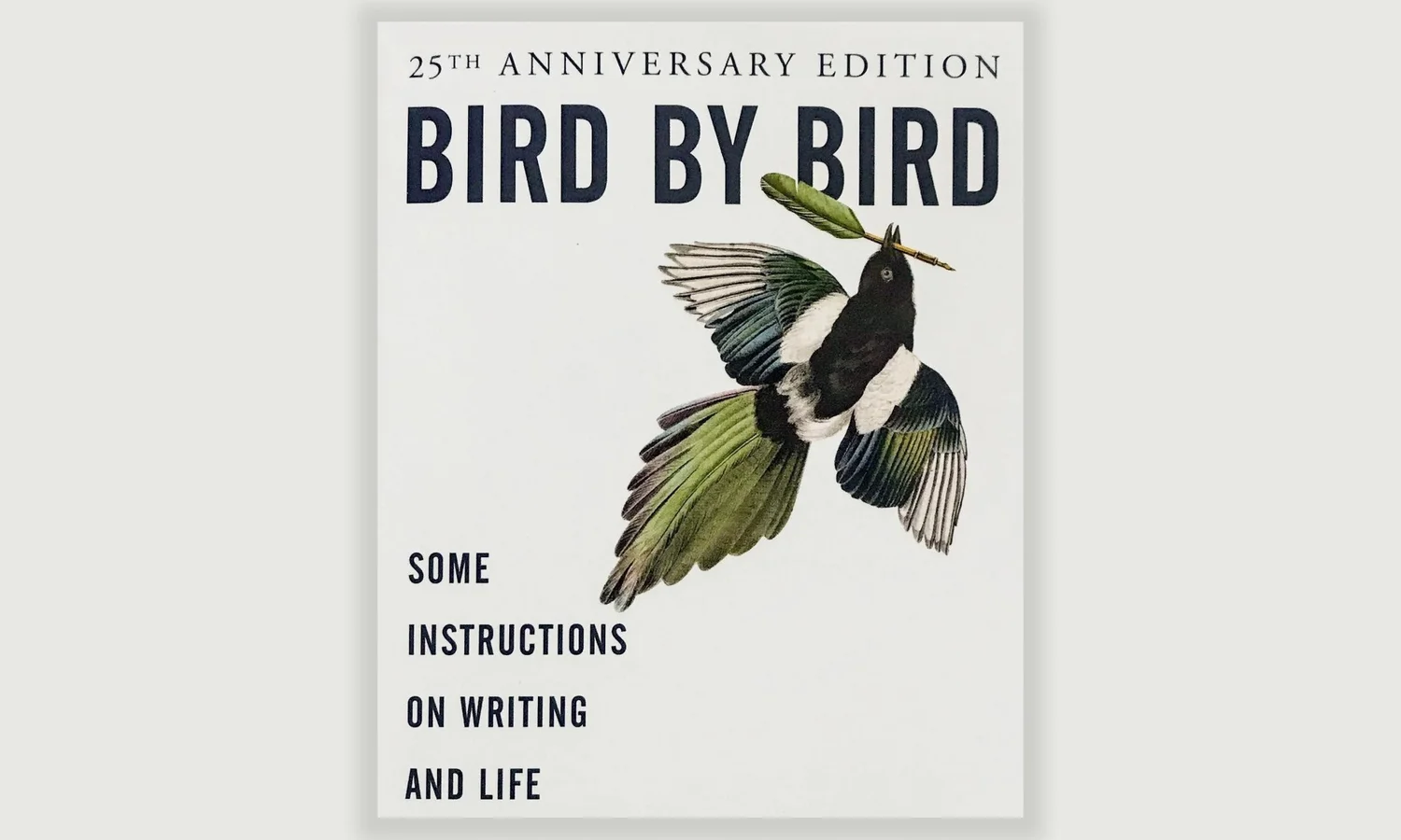 Bird by Bird - Some instructions on writing and life (book summary ...