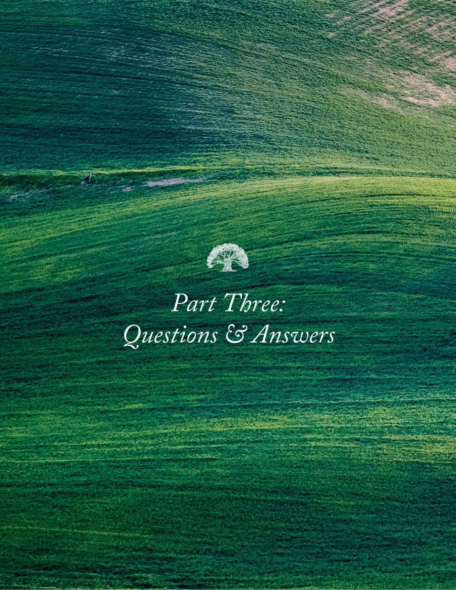 Sermon on the Mount - Sage Preaching & Teaching Videos — Sage Christianity