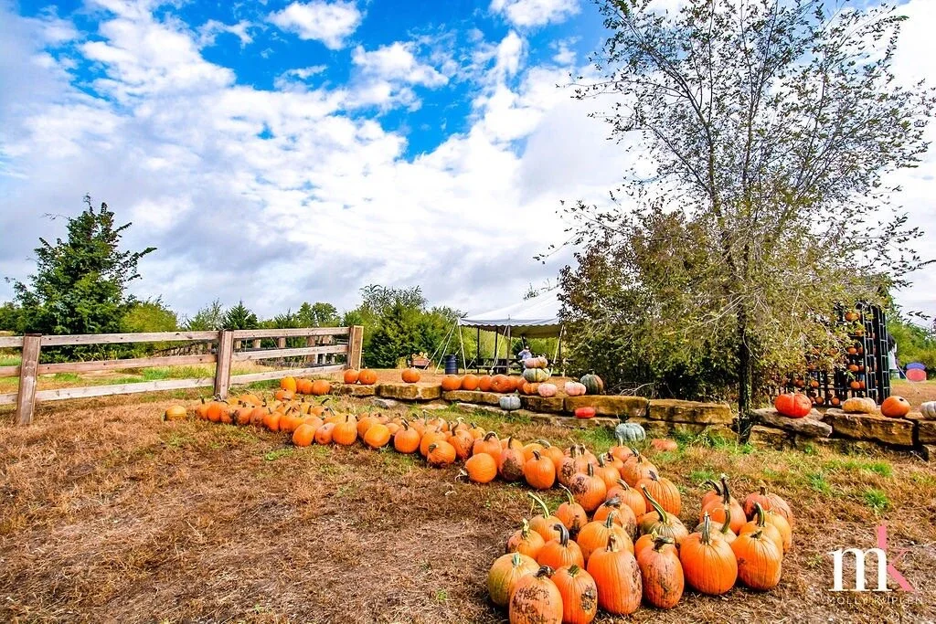 Donation Request - KC Pumpkin Patch