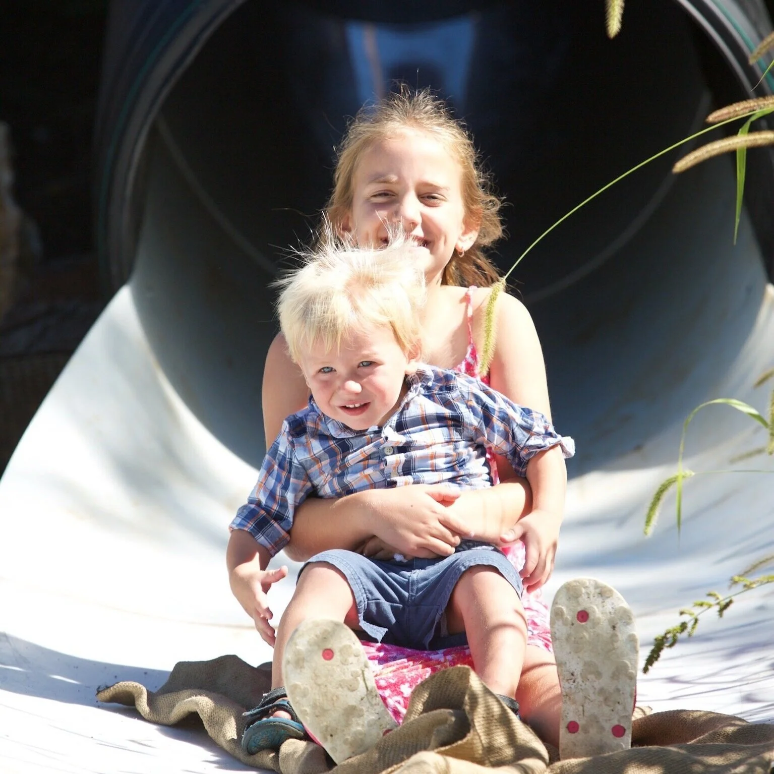 Kansas City Pumpkin Farm | Family Fun Destination Kansas City - KC Pumpkin Patch