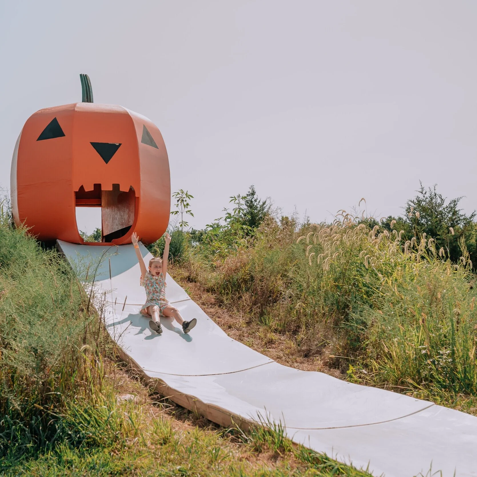 Fall Festival In Kansas City | Fall Attractions - KC Pumpkin Patch