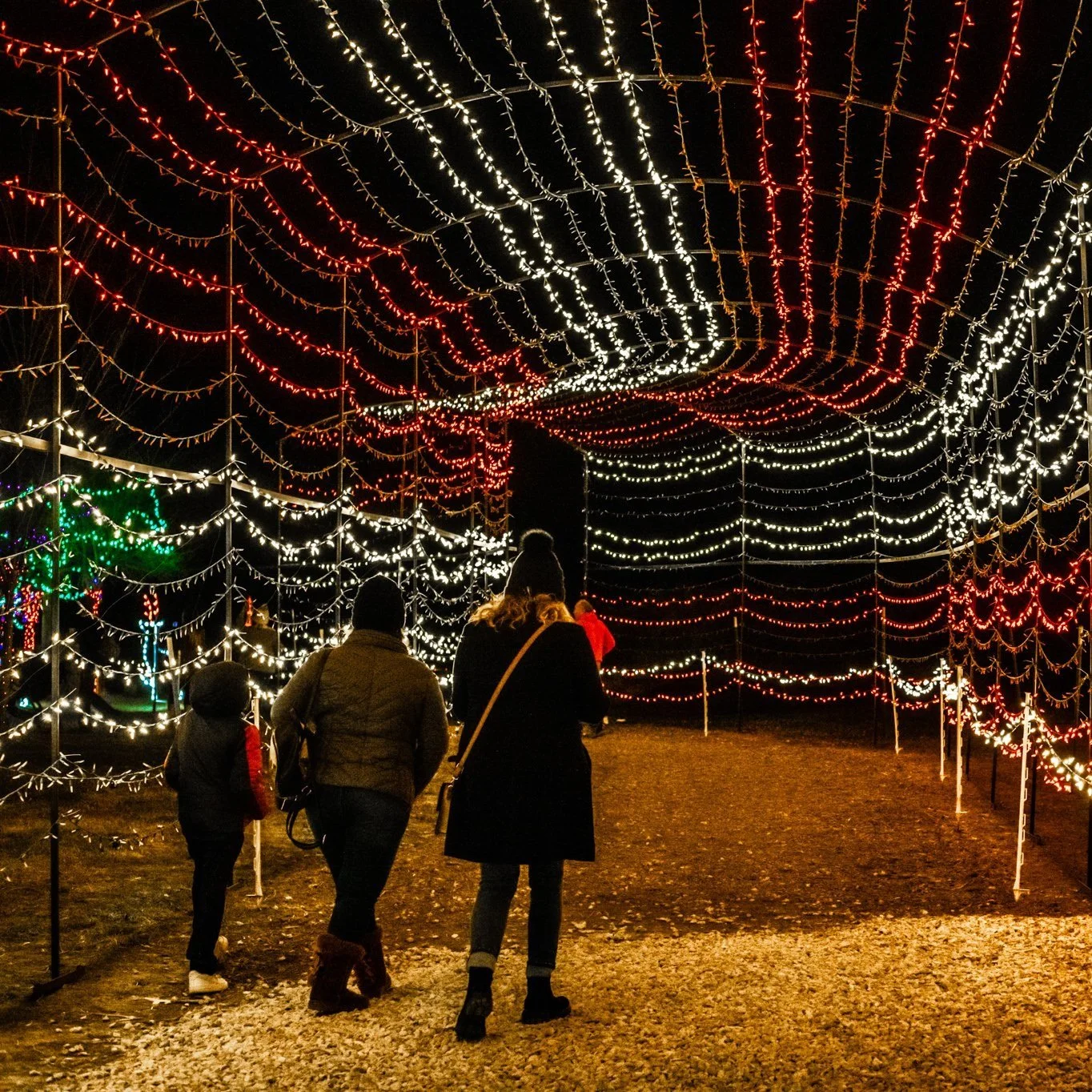 Kansas City Christmas Light Shows & Display | Christmas Activities ...