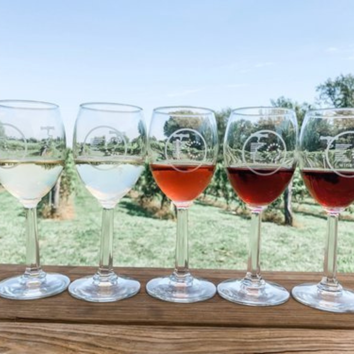 Drink Samples (21+) — KC Pumpkin Patch