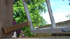 DIY Greenhouse Part 3: Finishing the Exterior and Planting Pretty ...