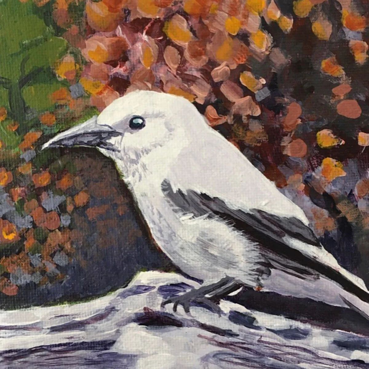 Anne Aitken Anderson — Fernie Arts Co-op