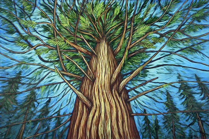 Fernie Arts Co-op