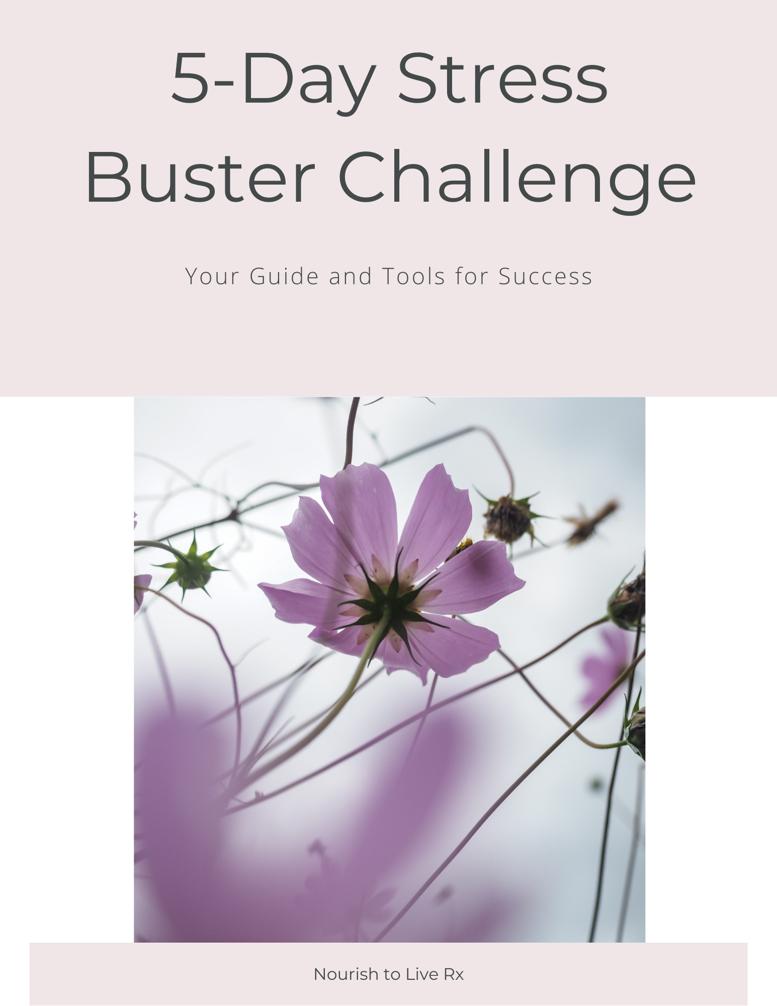5-Day Stress Buster Challenge — Nourish to Live Rx