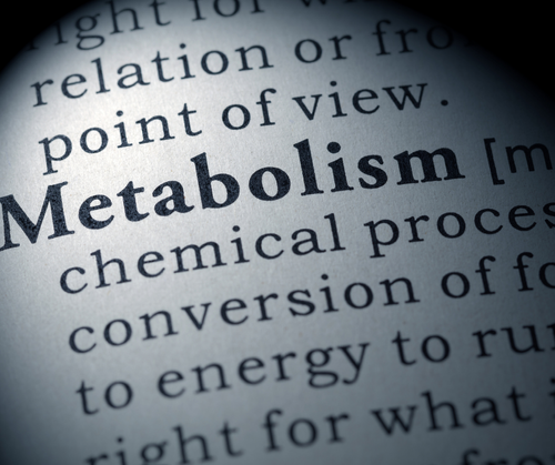 What is Metabolism? — Nourish to Live Rx