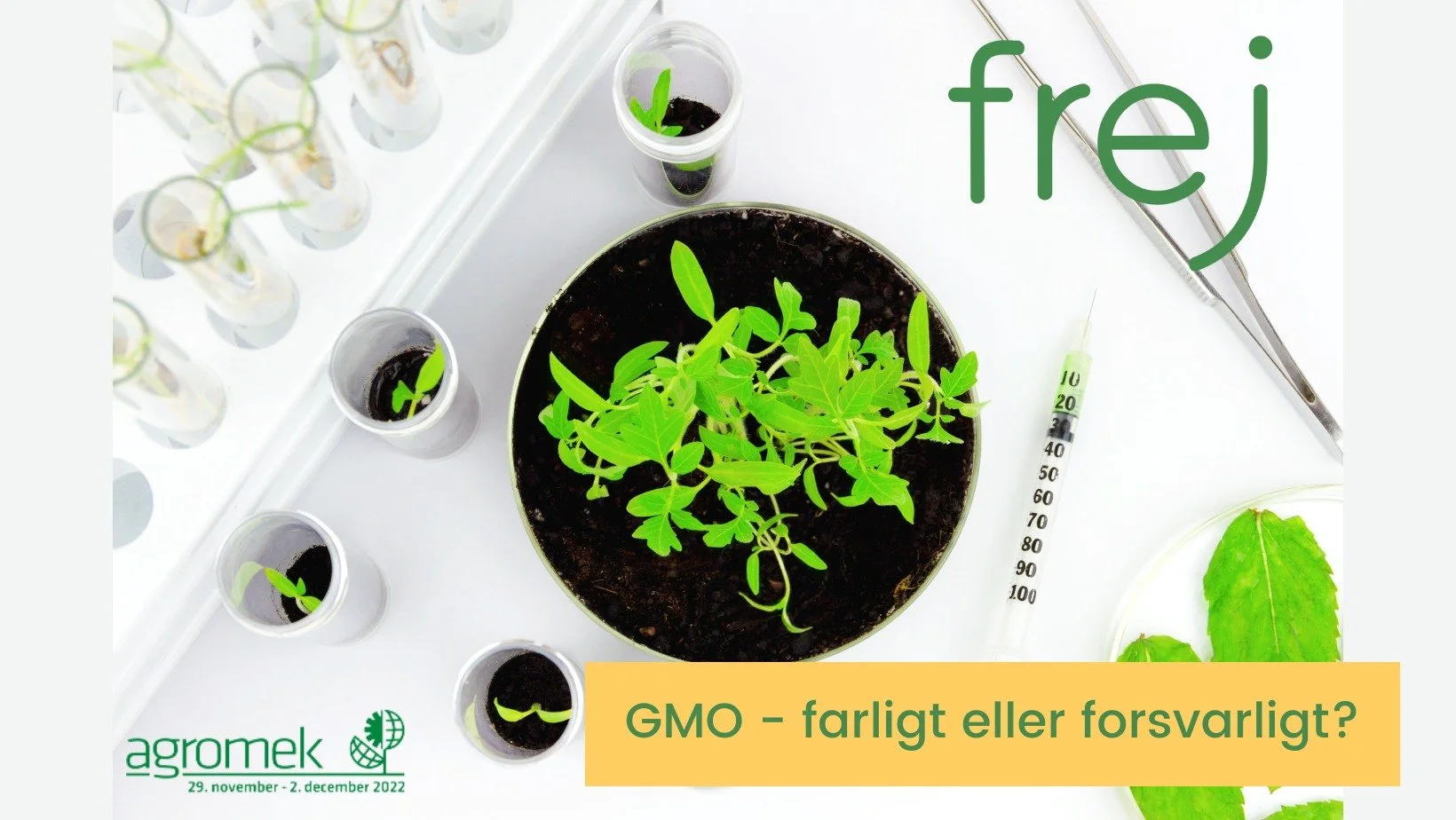 GMO - farligt eller forsvarligt? — Tænketanken Frej