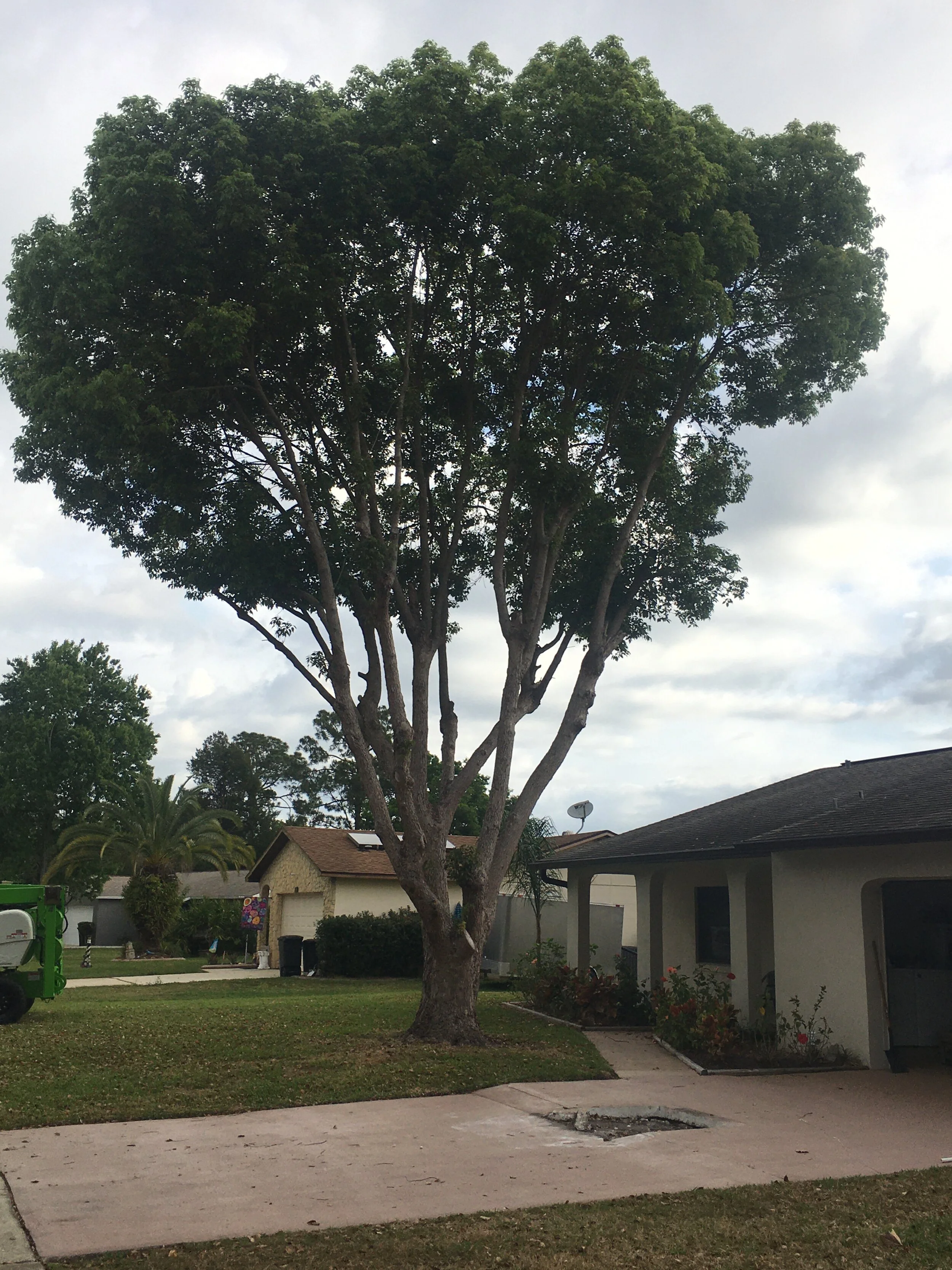 Gallery — Pleasant View