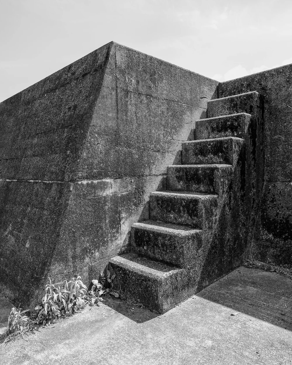 Memory Landscapes — Robert Hutchison Architecture