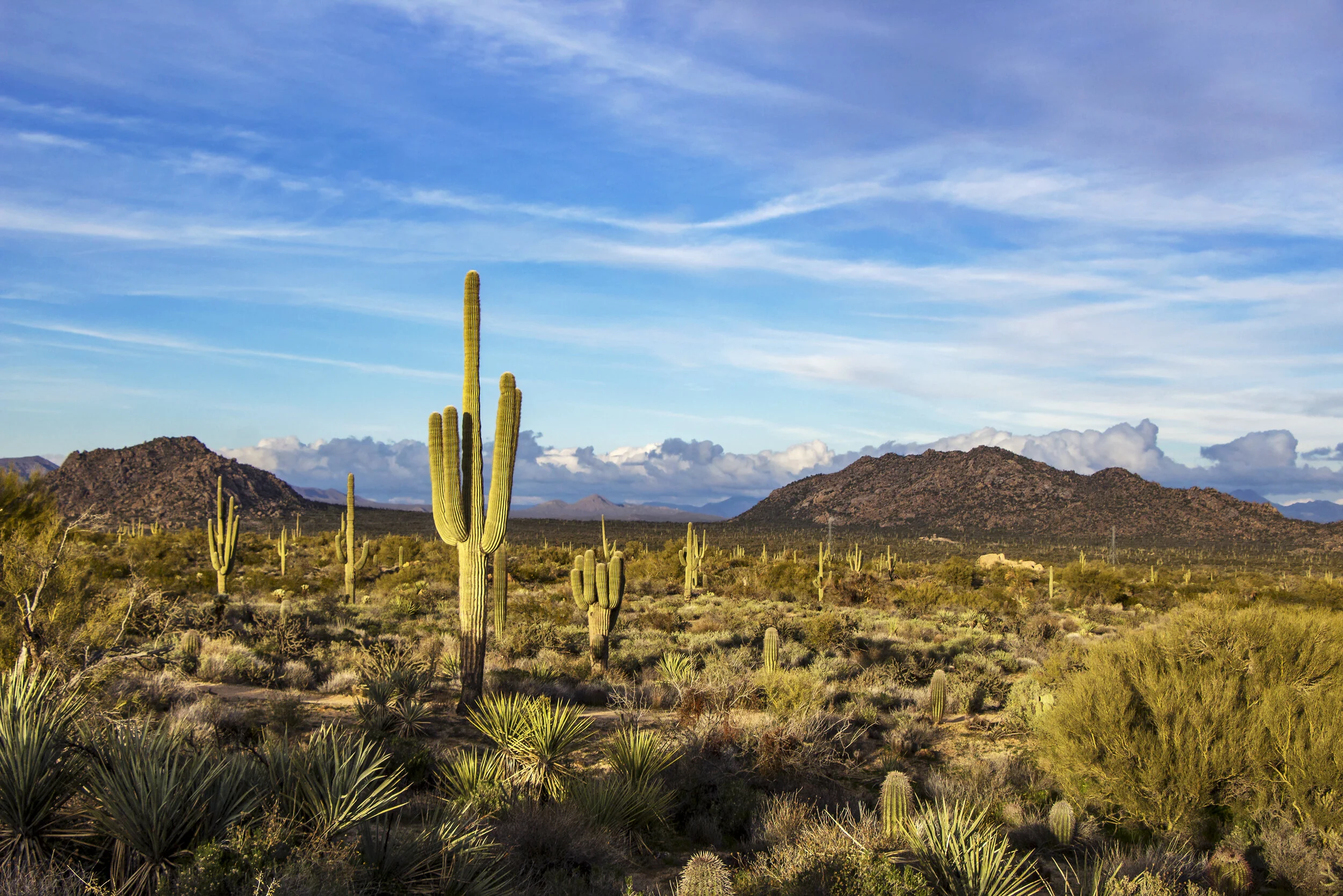 Top Southwest USA Stock Images | High Quality Photos & Pictures