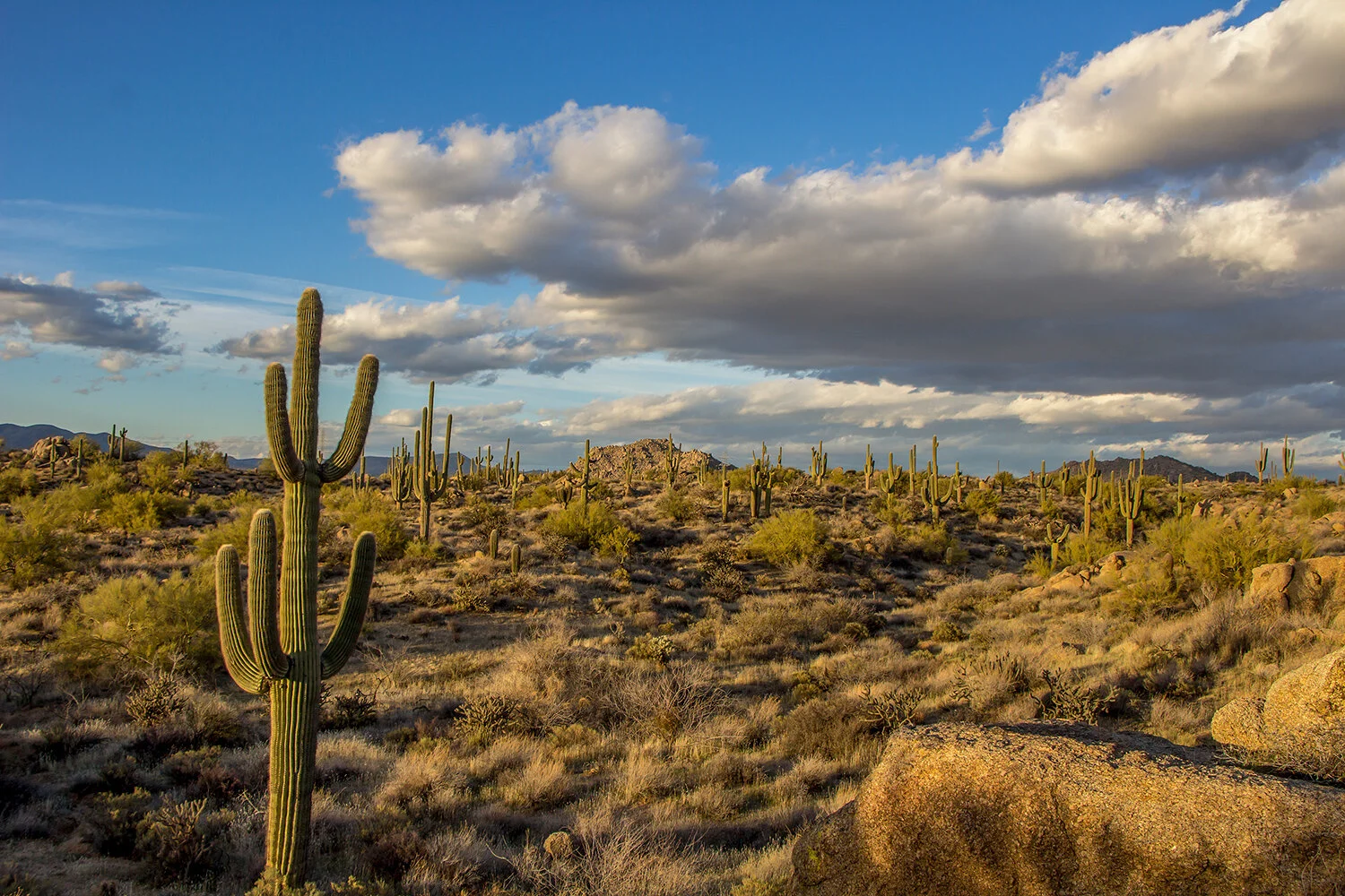 Southwest USA Stock Landscape Images | Photography | Digital Downloads