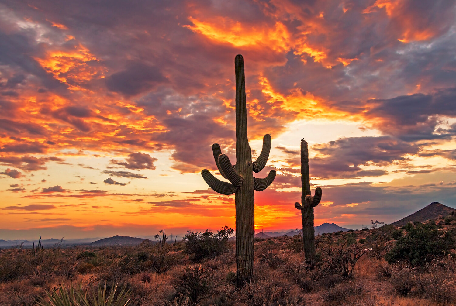 Arizona Sunrises & Sunset Stock Images | Photography | Buy