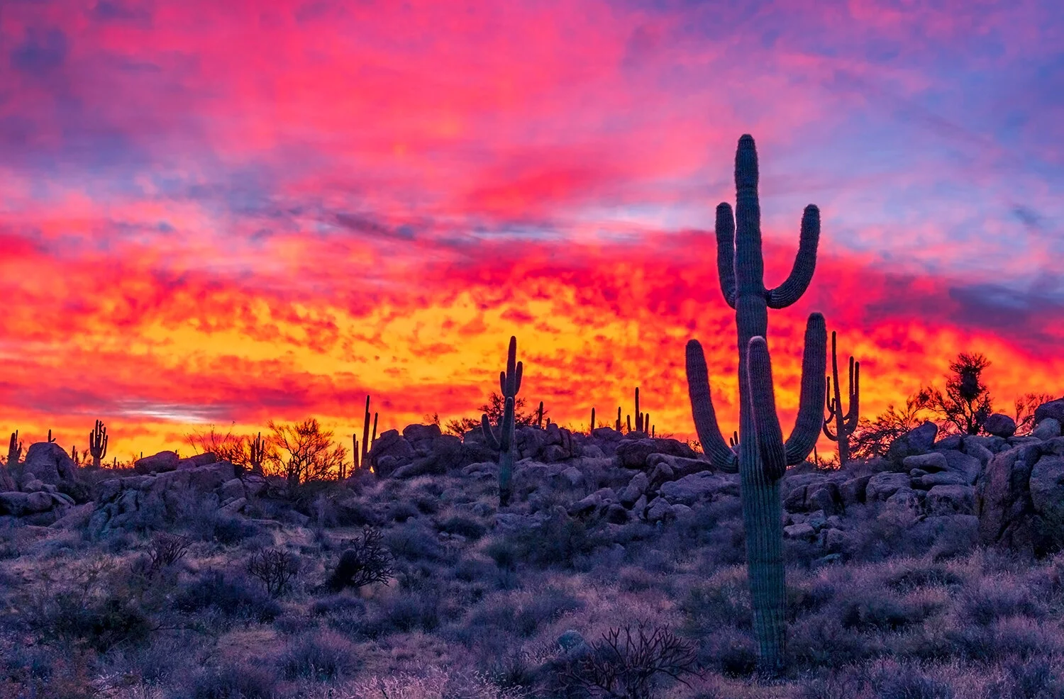 Southwest USA Sunrises & Sunsets Stock Images For Sale
