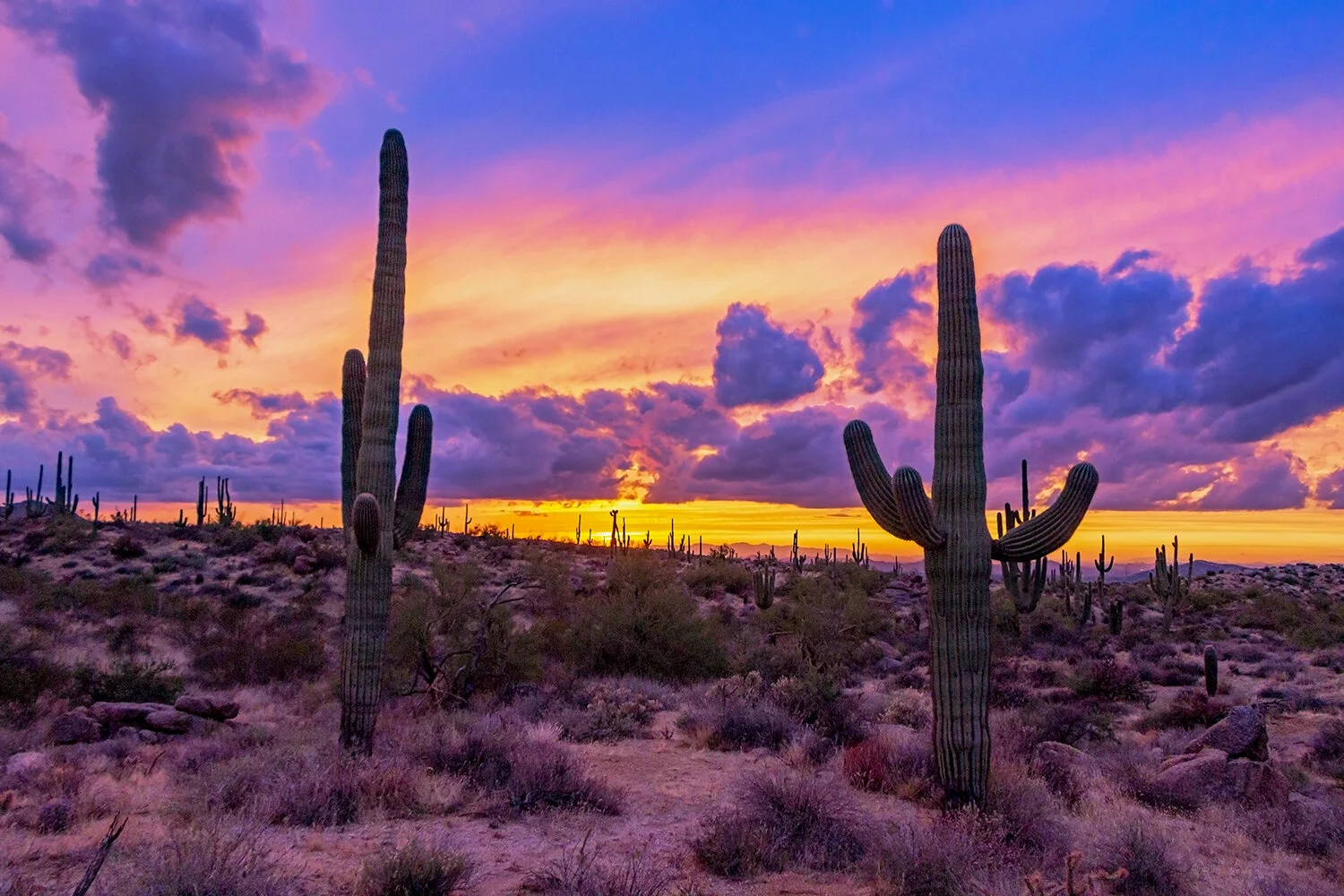 Southwest USA Sunrises & Sunsets Stock Images For Sale