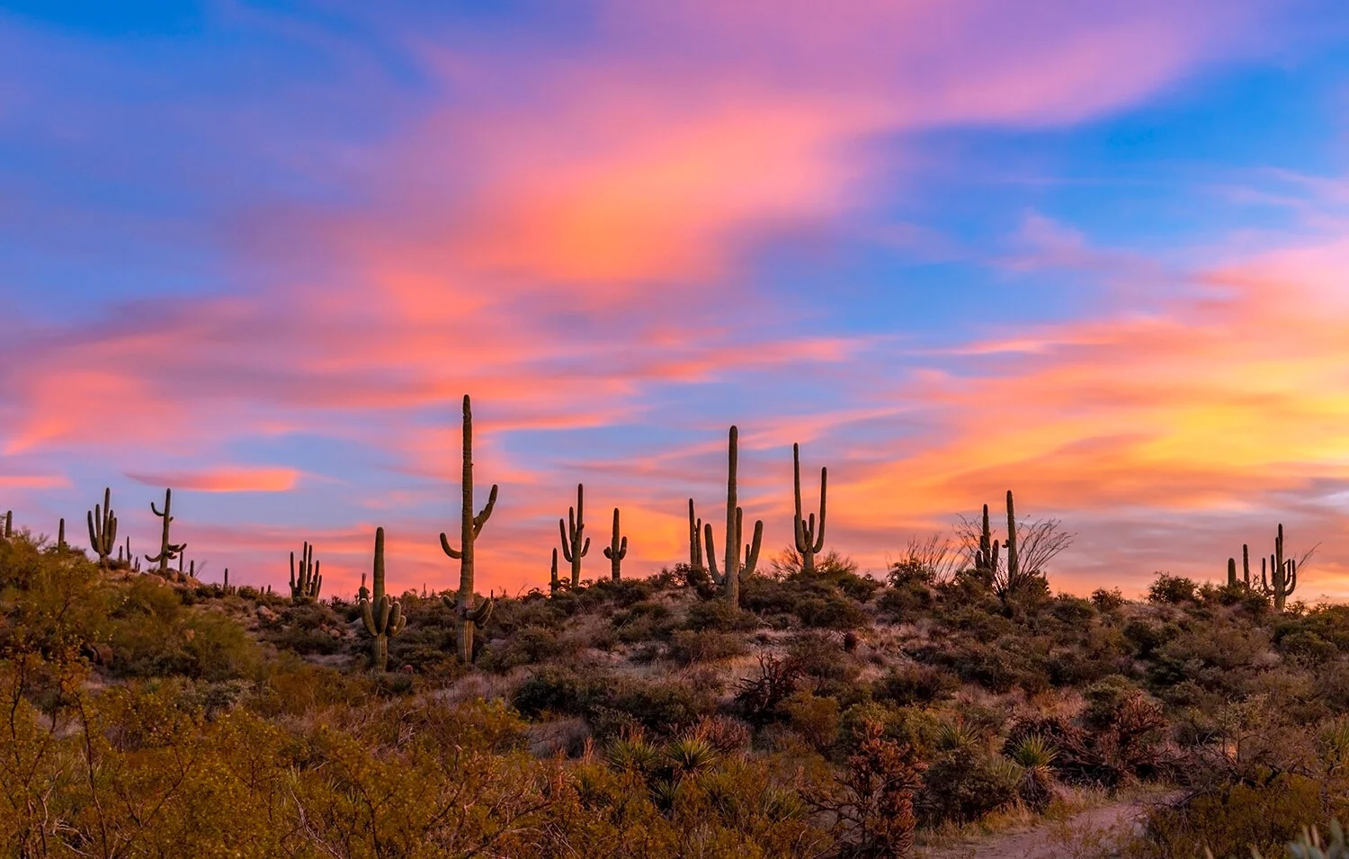 Southwest USA Sunsets & Sunrises Stock Images | Buy Photos