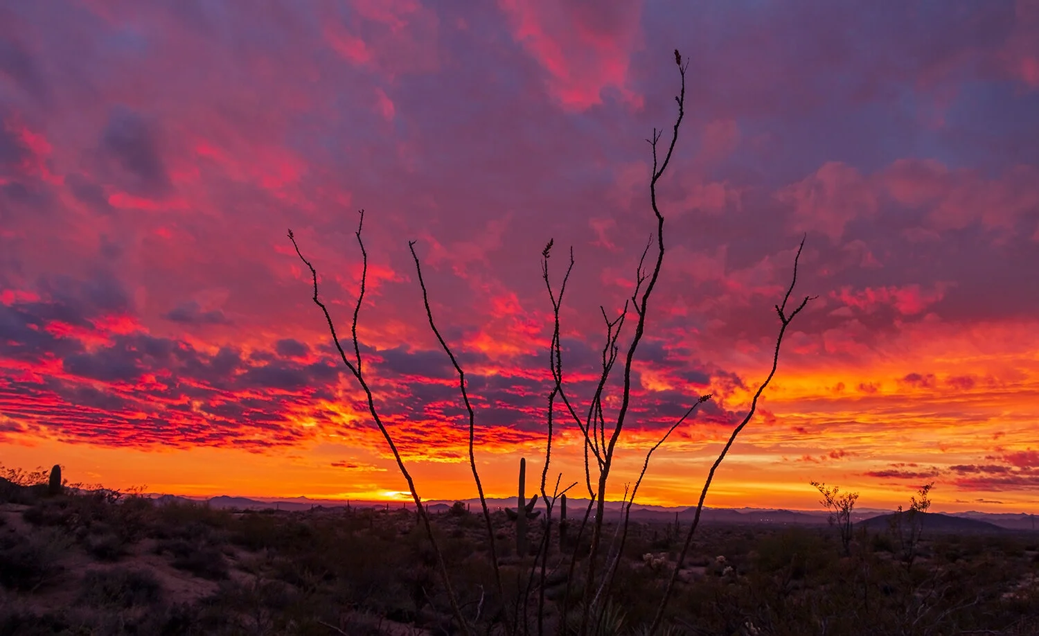 Southwest USA Sunsets & Sunrises Stock Images | Buy Photos