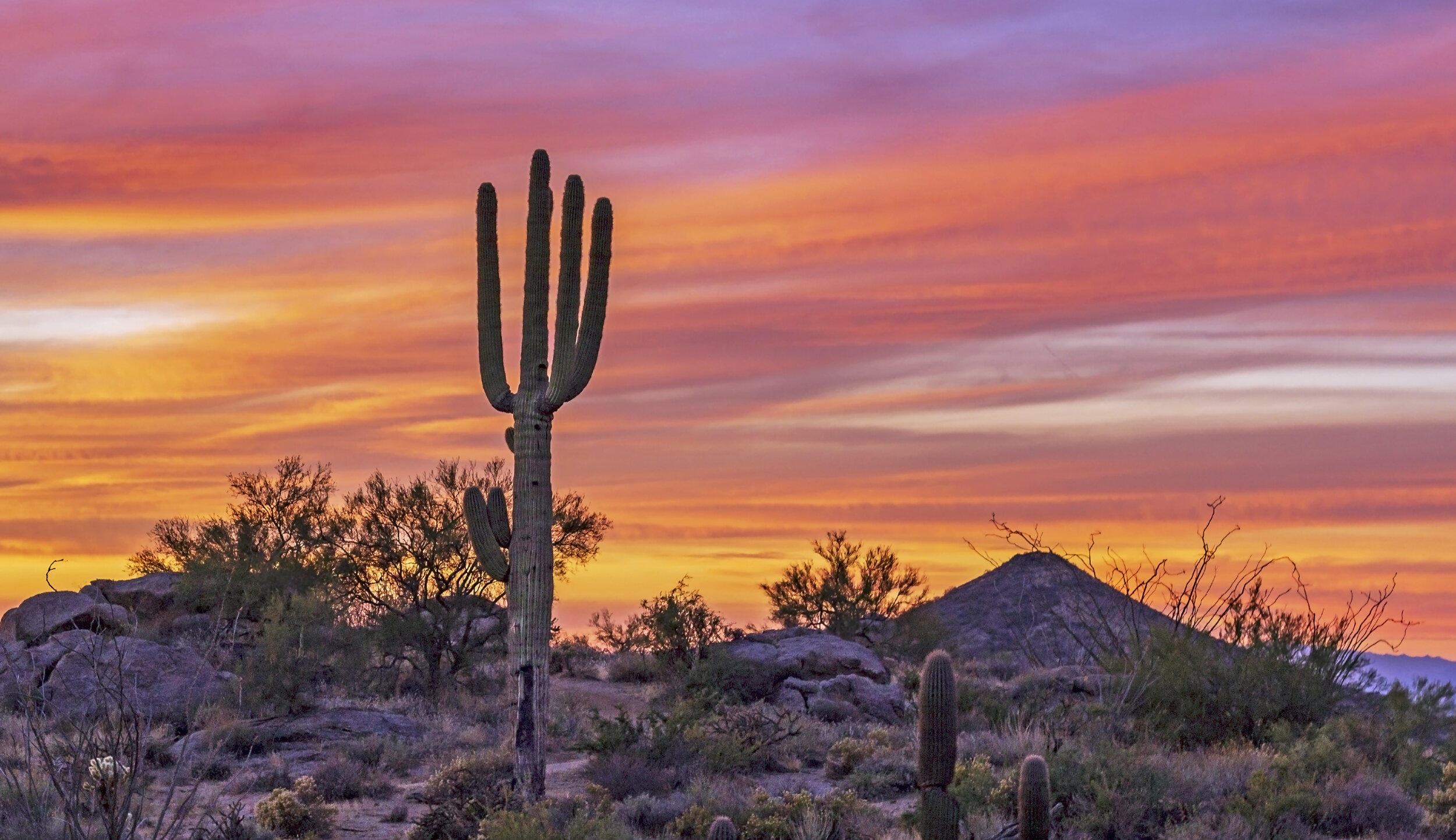 Southwest USA Sunrises & Sunsets Stock Images For Sale