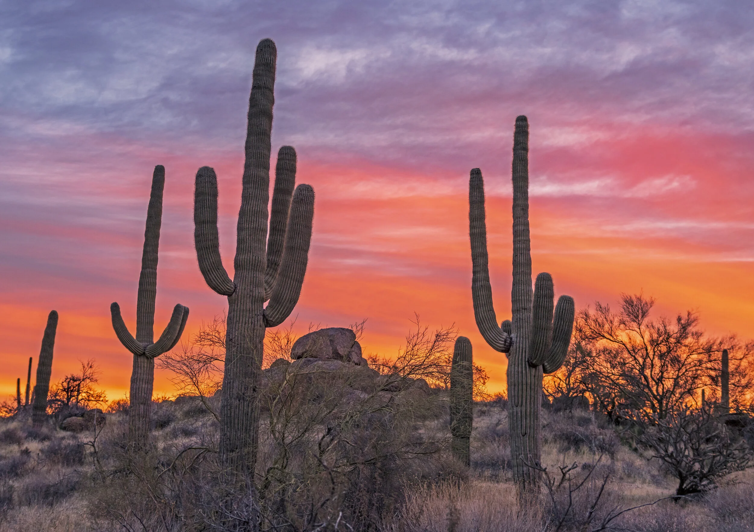 Southwest USA Sunrises & Sunsets Stock Images For Sale