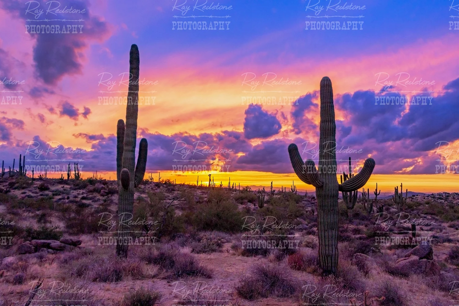 Phoenix Sunset