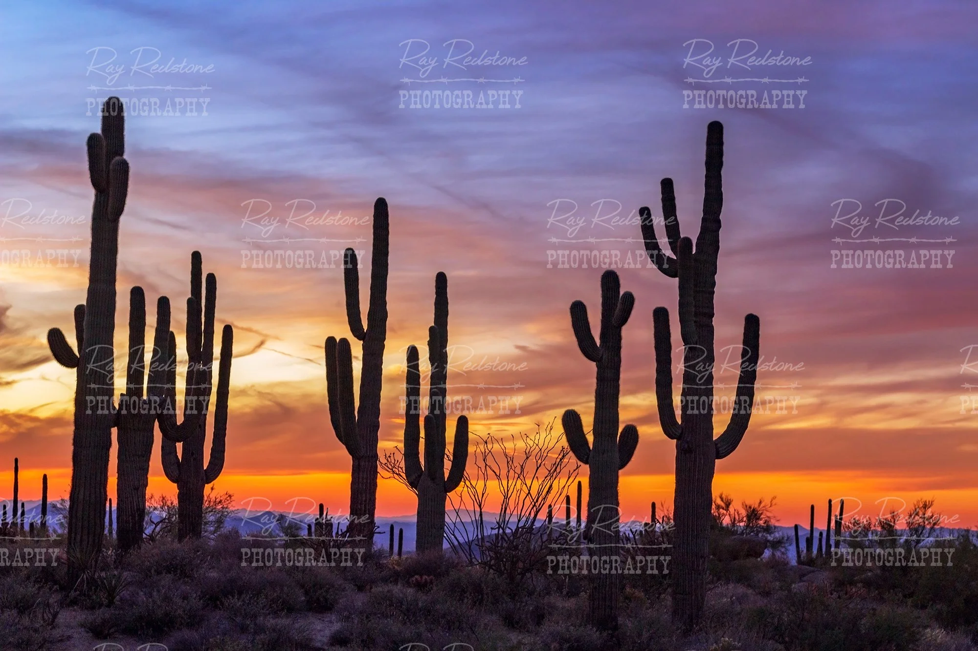 Southwest USA Sunrises & Sunsets Stock Images For Sale