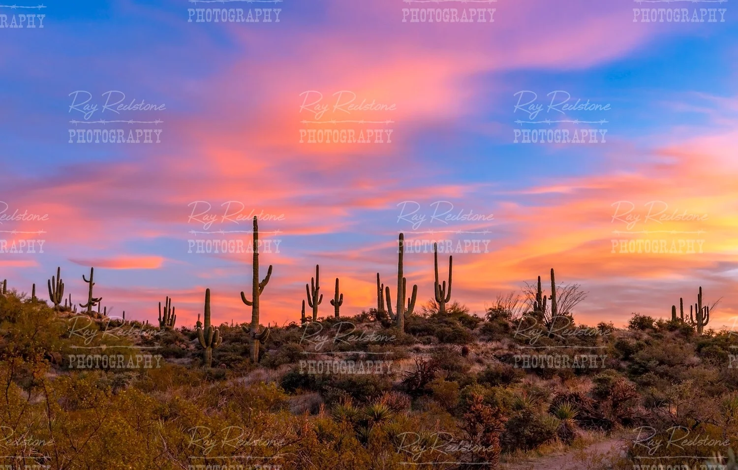 Desert Landscape Sunset