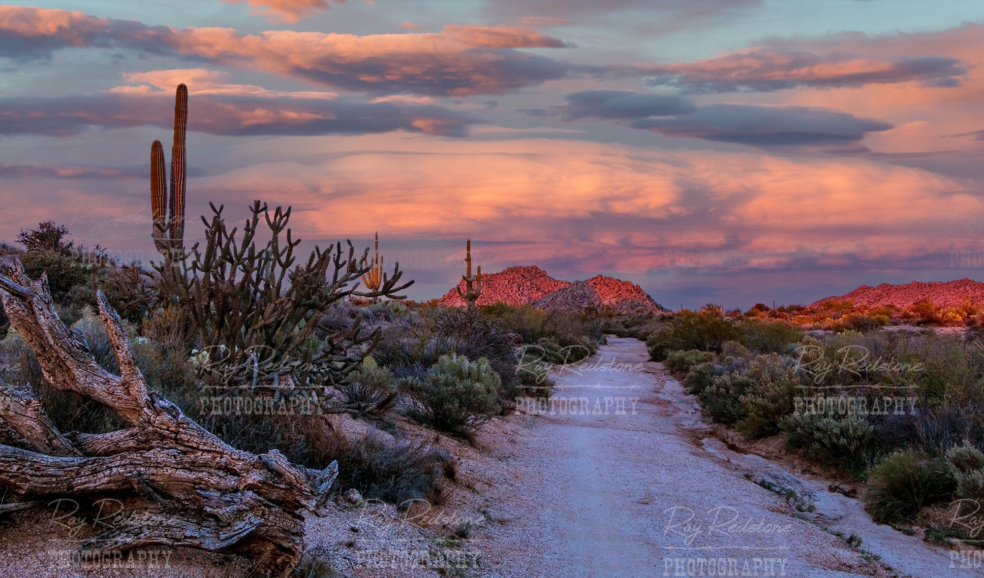 Southwest USA Sunrises & Sunsets Stock Images For Sale