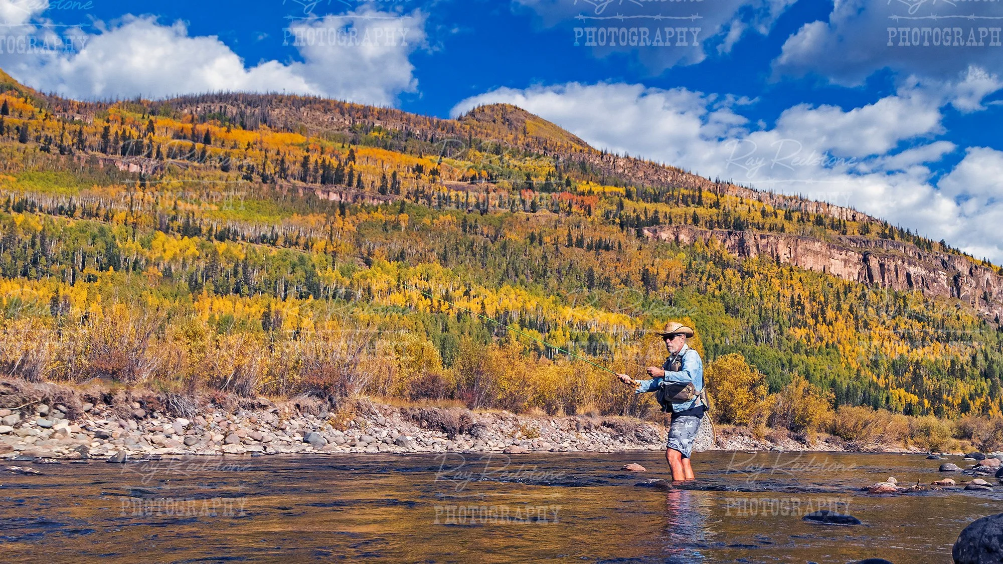 Man Fall Fly-Fishing On The Rio Grande River In Colorado