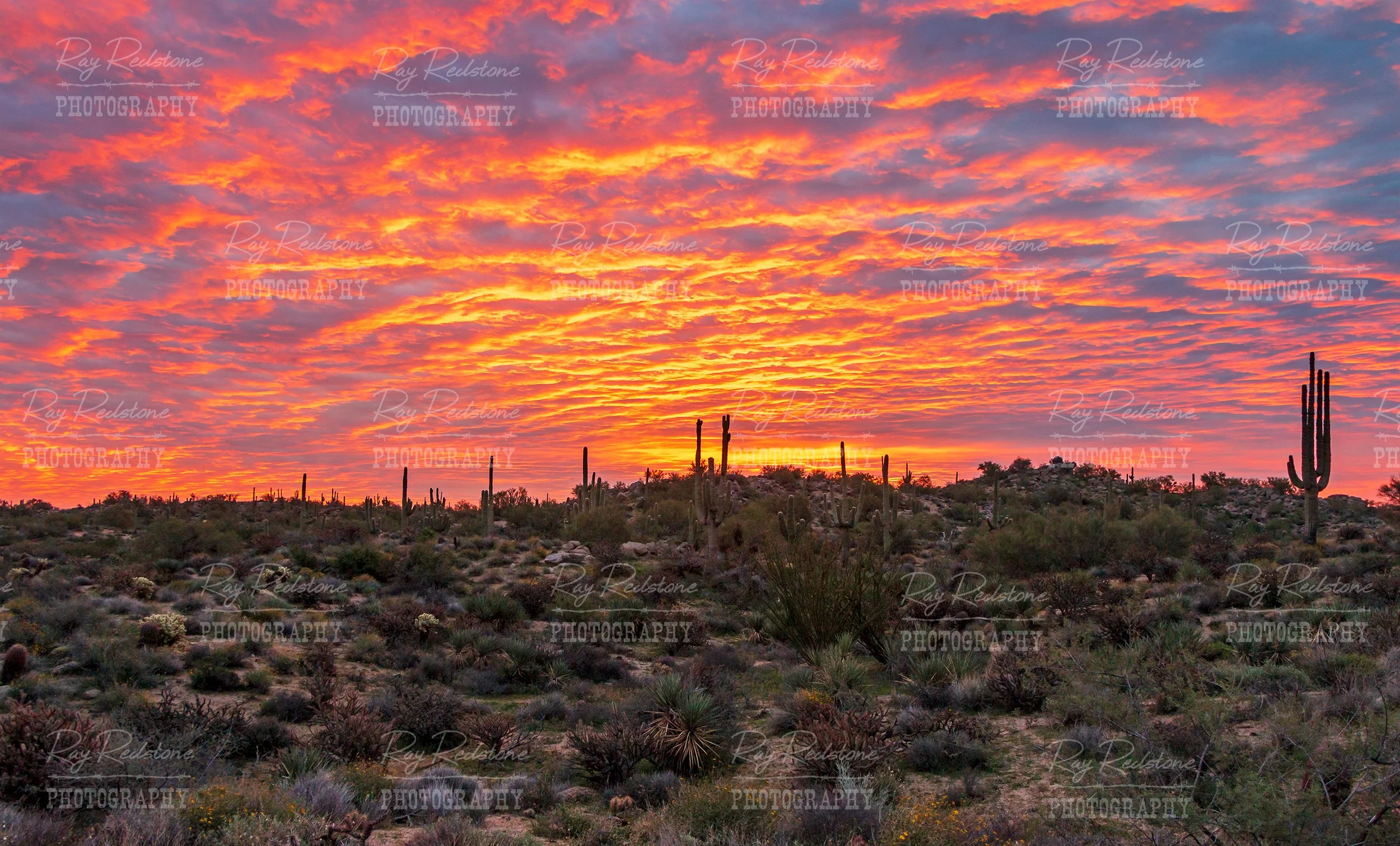 Southwest USA Sunrises & Sunsets Stock Images For Sale
