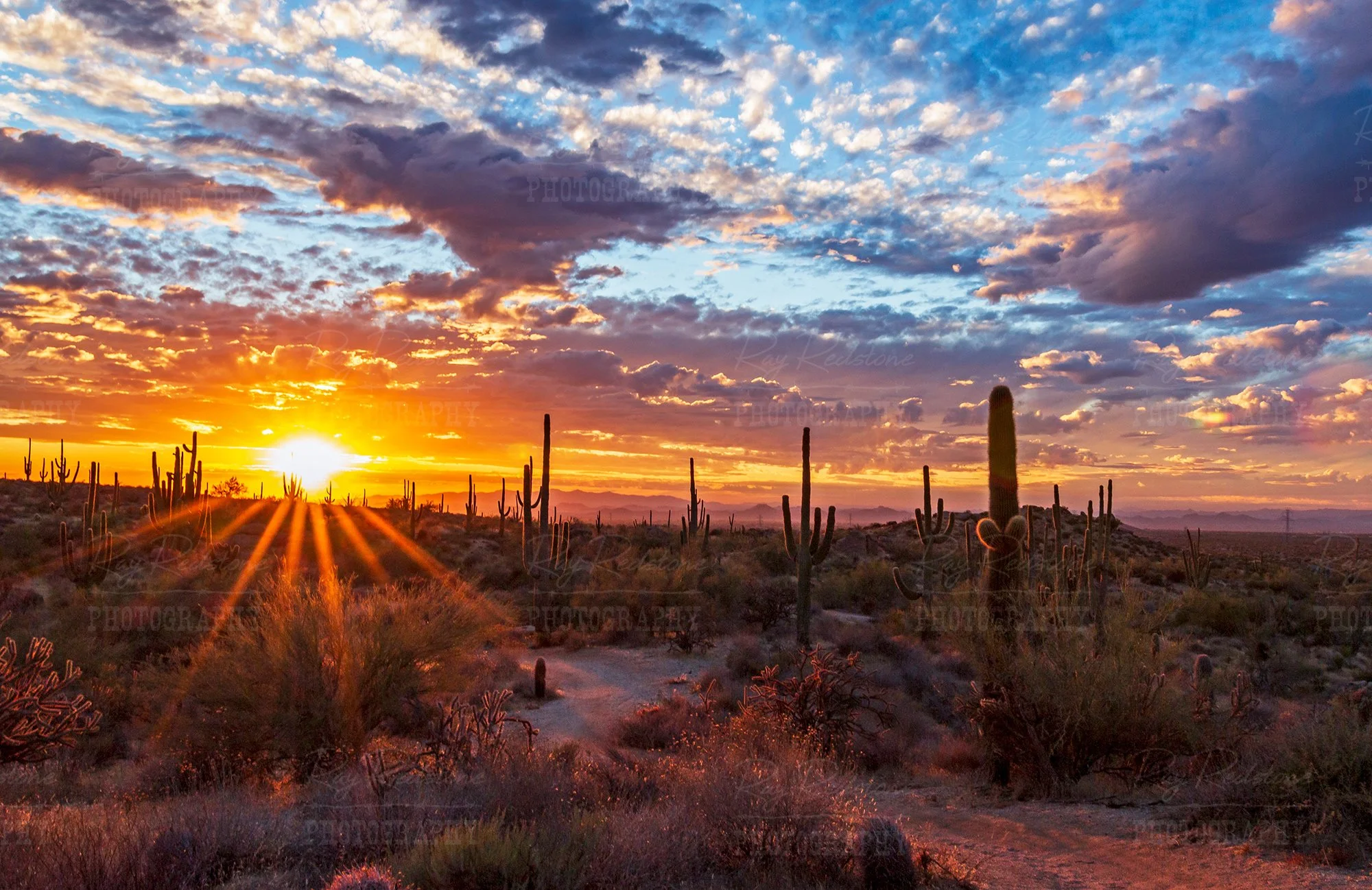 Classic Arizona Desert Sunset Landscape Image