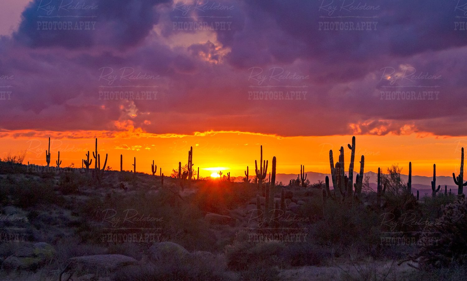 Southwest USA Sunrises & Sunsets Stock Images For Sale